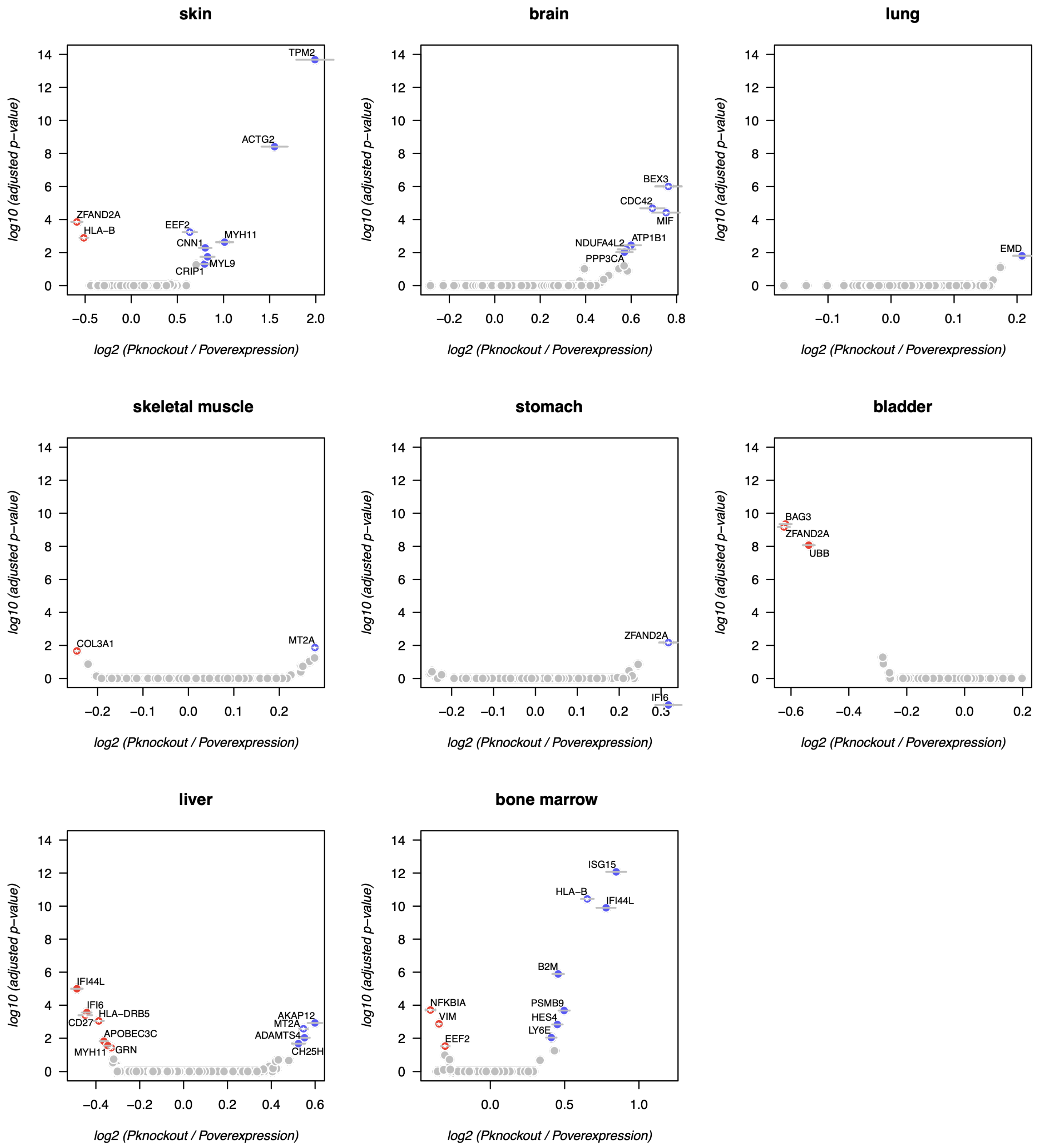 Discovering Candidate Anti-Aging Perturbations Using a Foundation Model ...