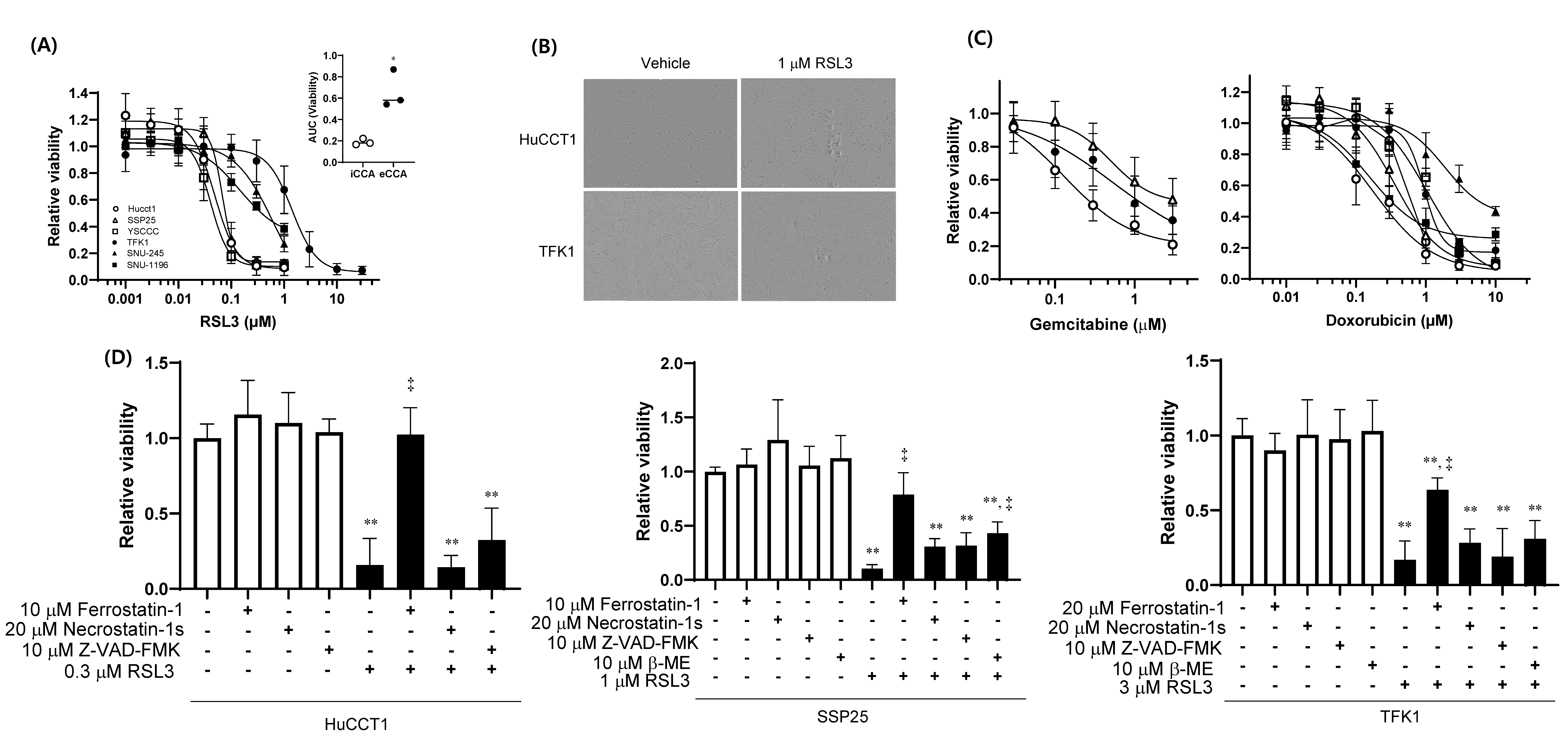 Characterization of Differential GPX4 Essentiality Between Intrahepatic ...