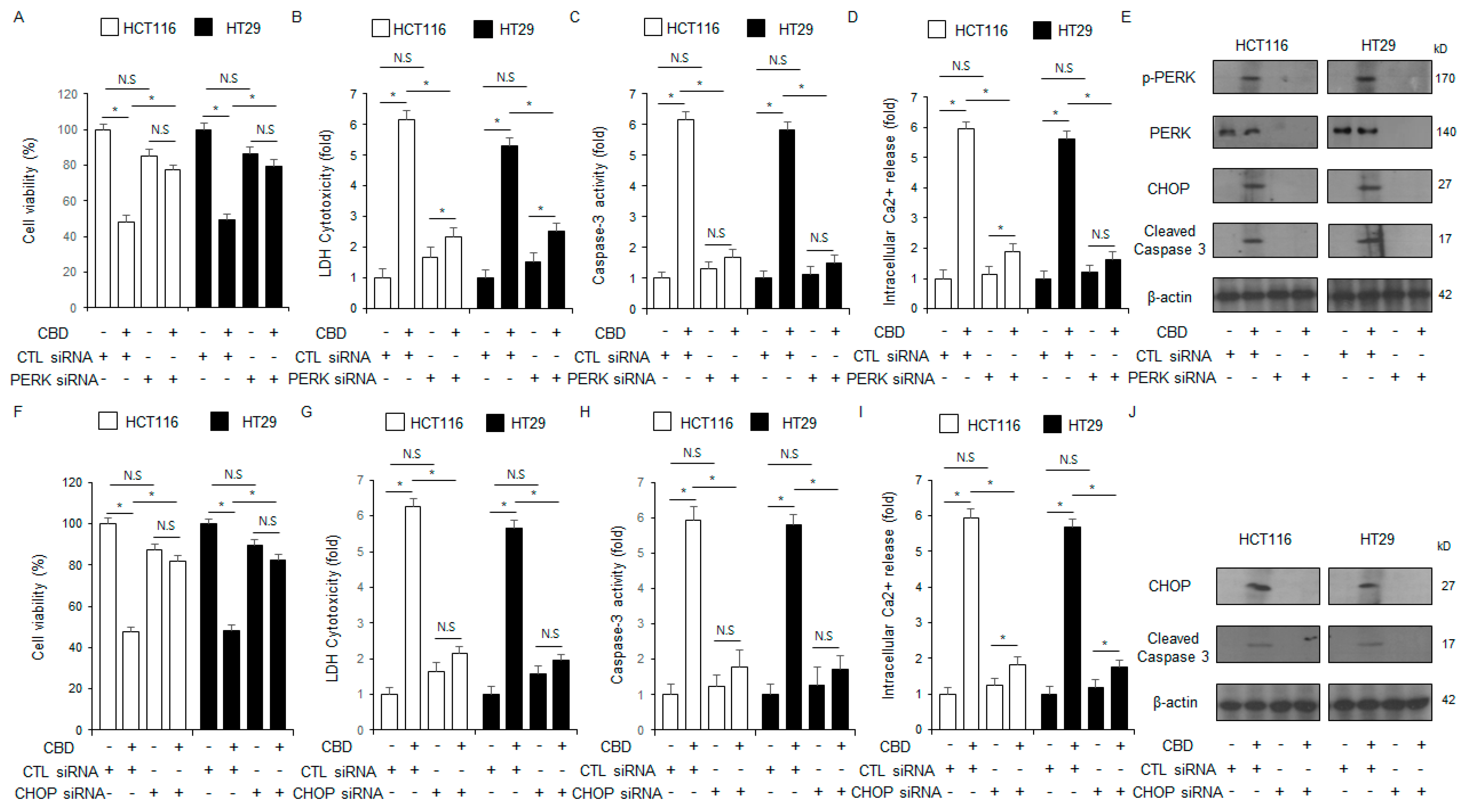 Cucurbitacin D Induces Apoptotic Cell Death via NOX4 and Overcomes ...