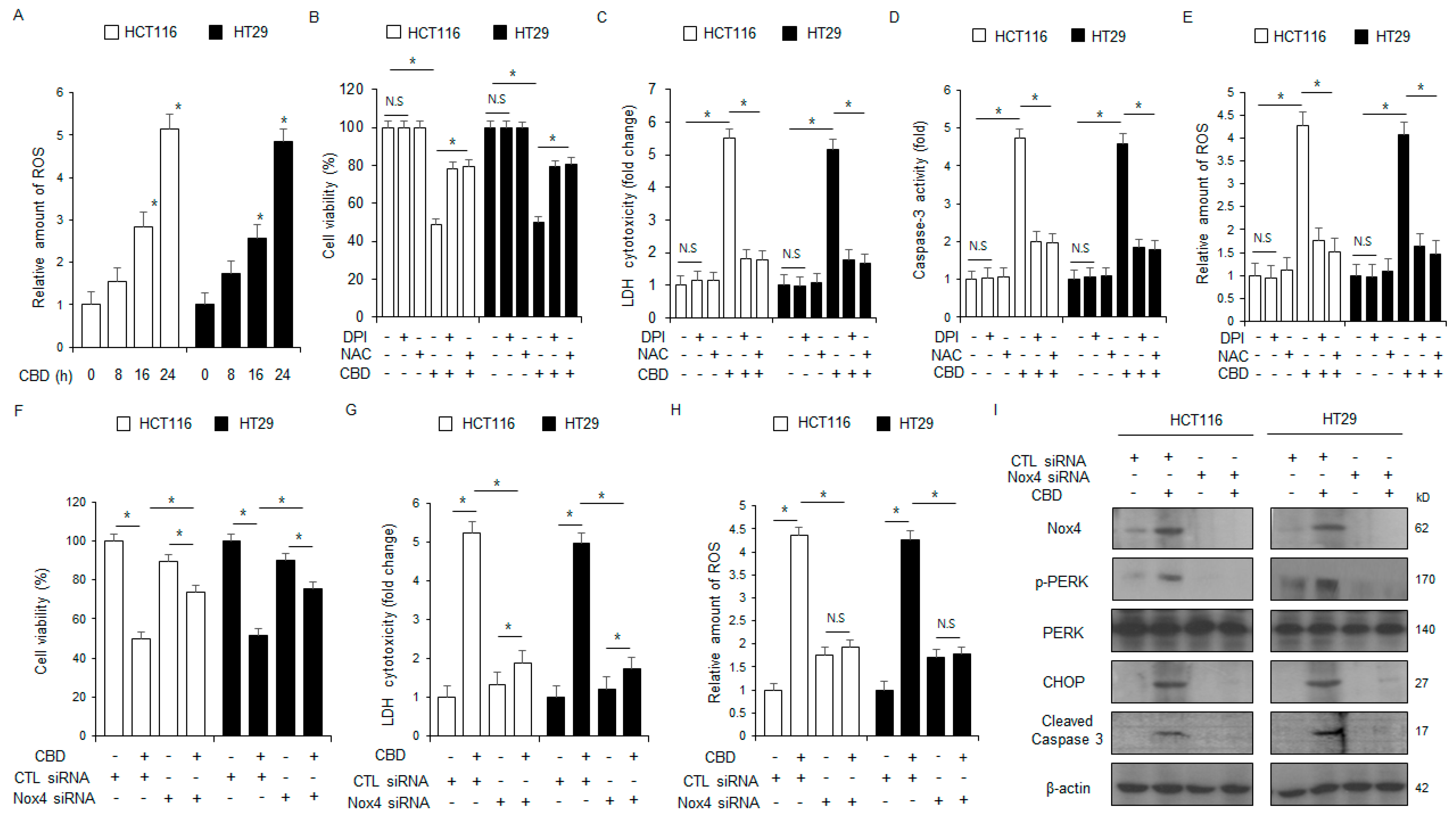 Cucurbitacin D Induces Apoptotic Cell Death via NOX4 and Overcomes ...