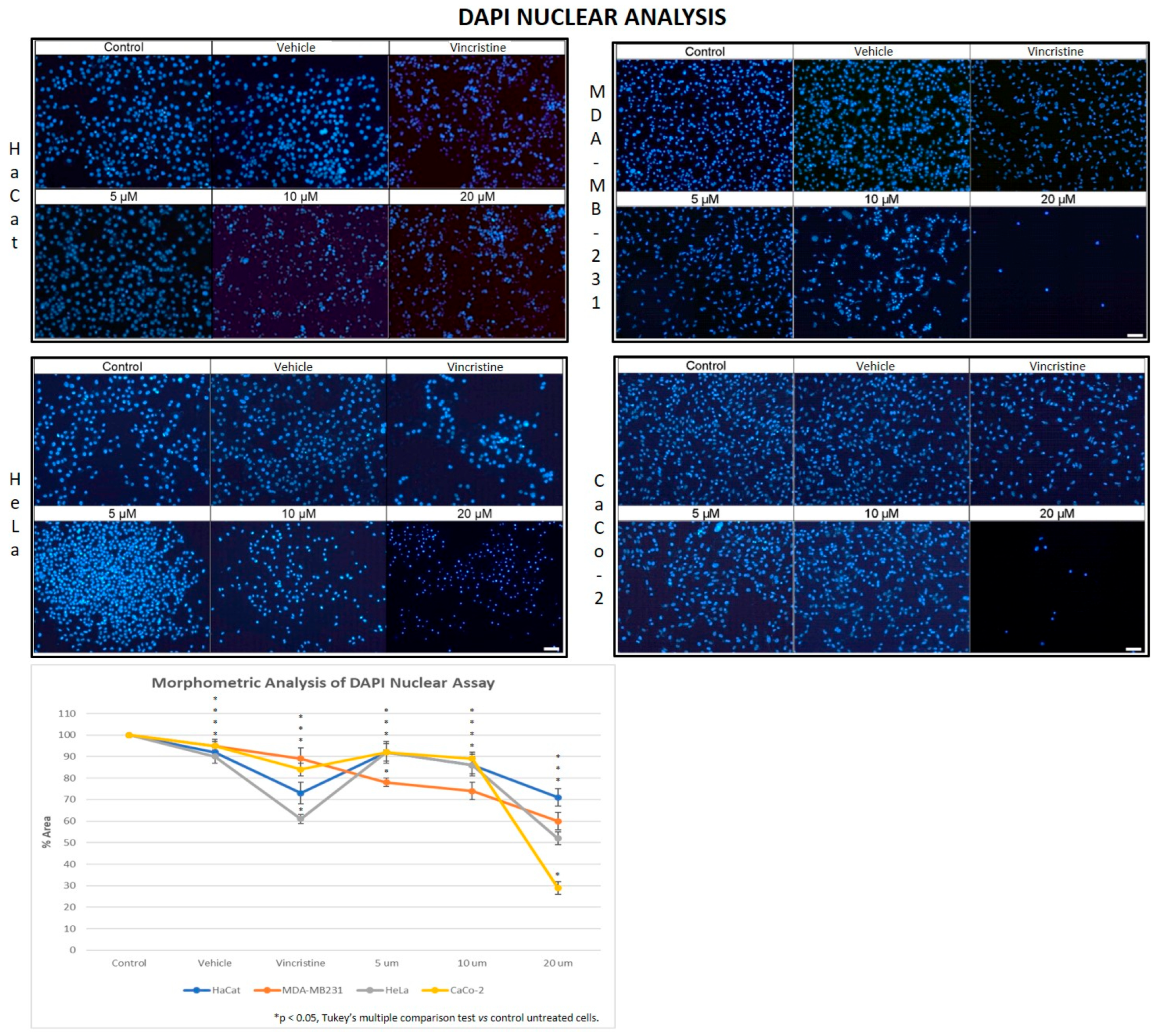 Targeting Human Cancer Cells with Cannabidiol (CBD): Apoptotic ...