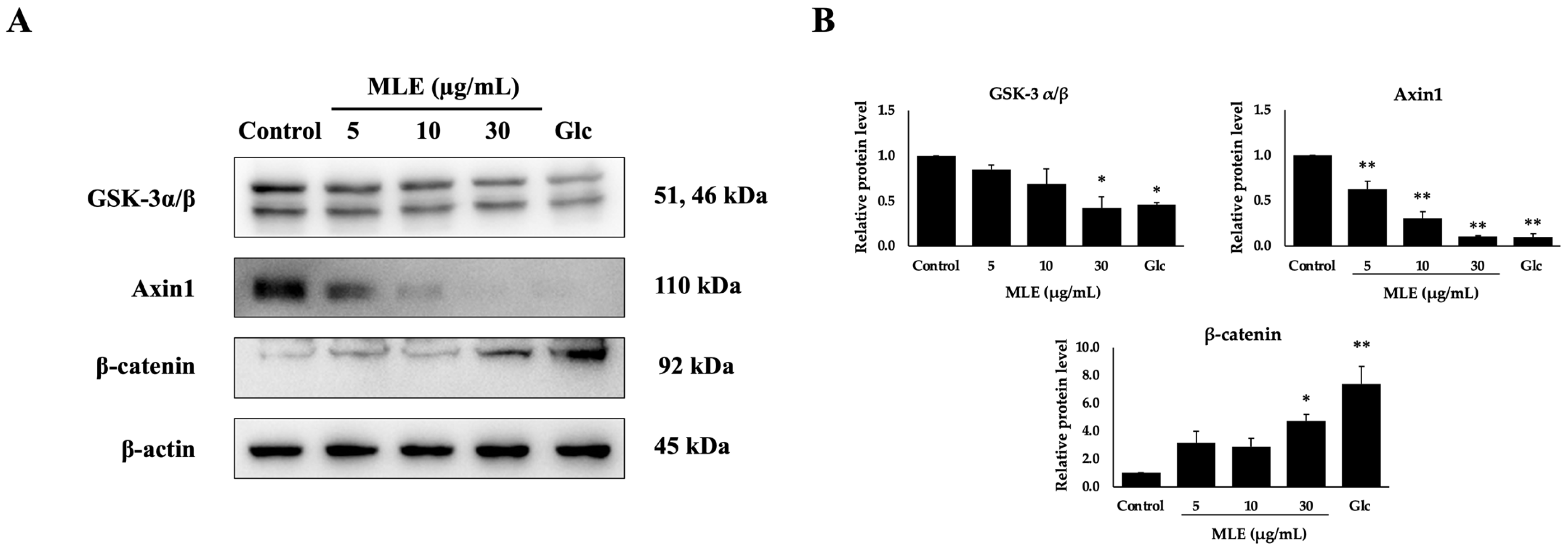 Molecular Mechanisms and Antidiabetic Effects of Mango (Mangifera ...