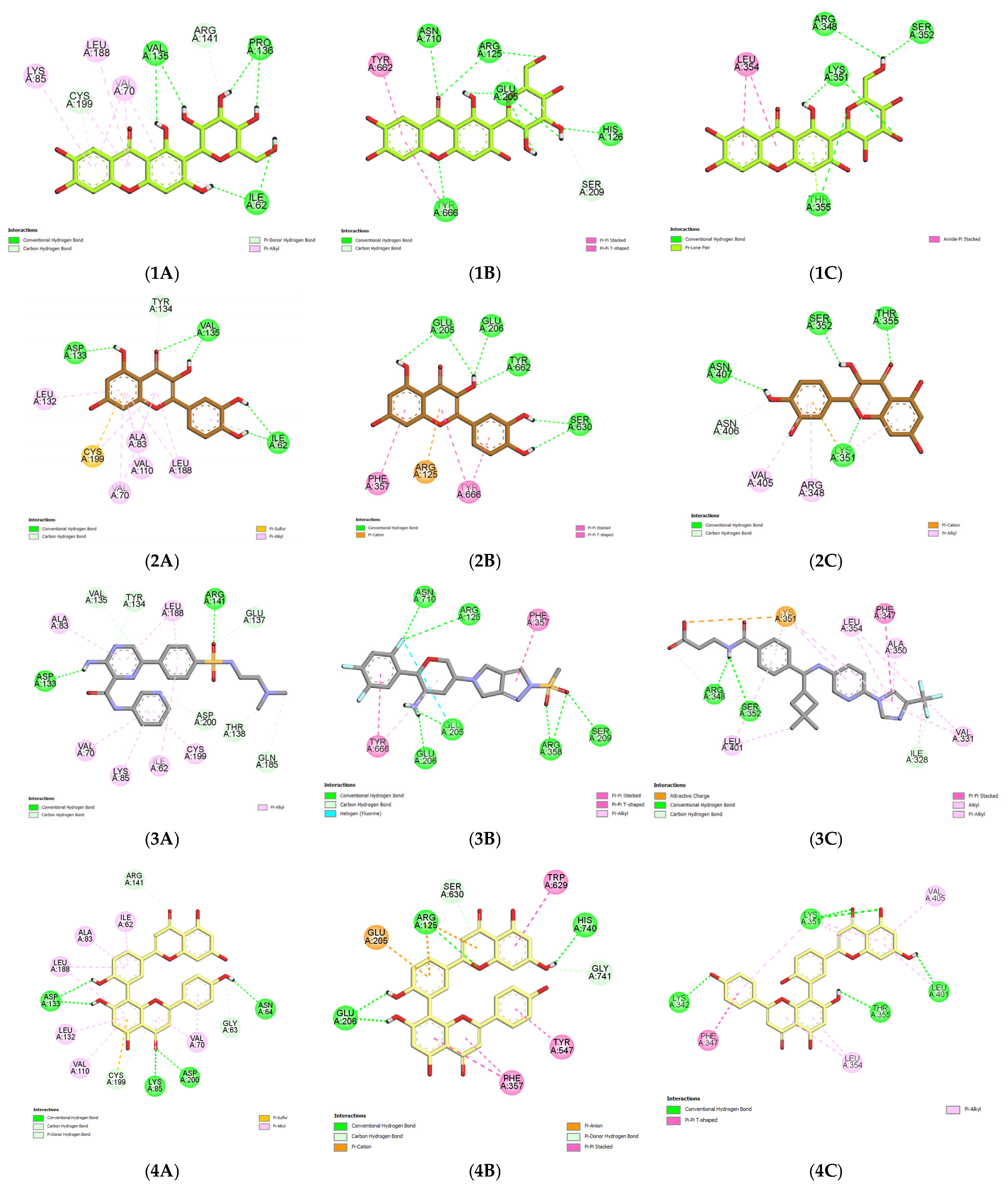 Molecular Mechanisms and Antidiabetic Effects of Mango (Mangifera ...