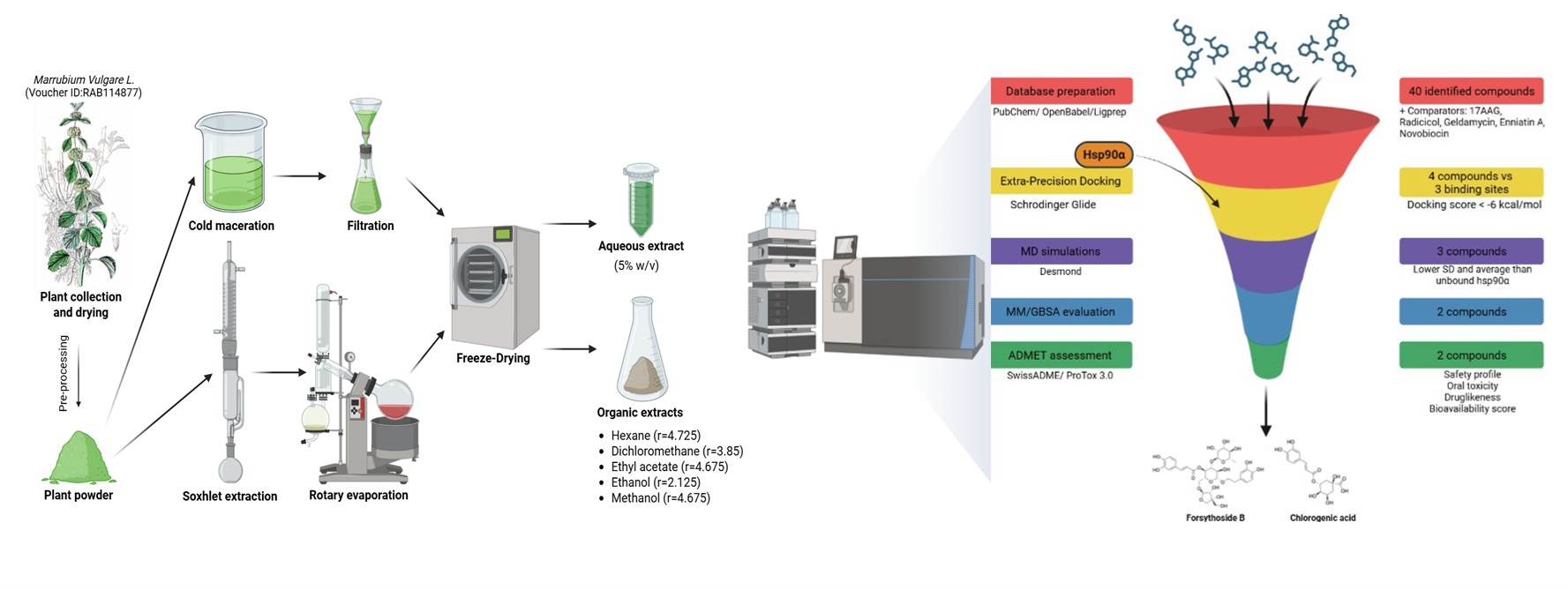 Phytochemical Profiling and Structure-Based Computational ...