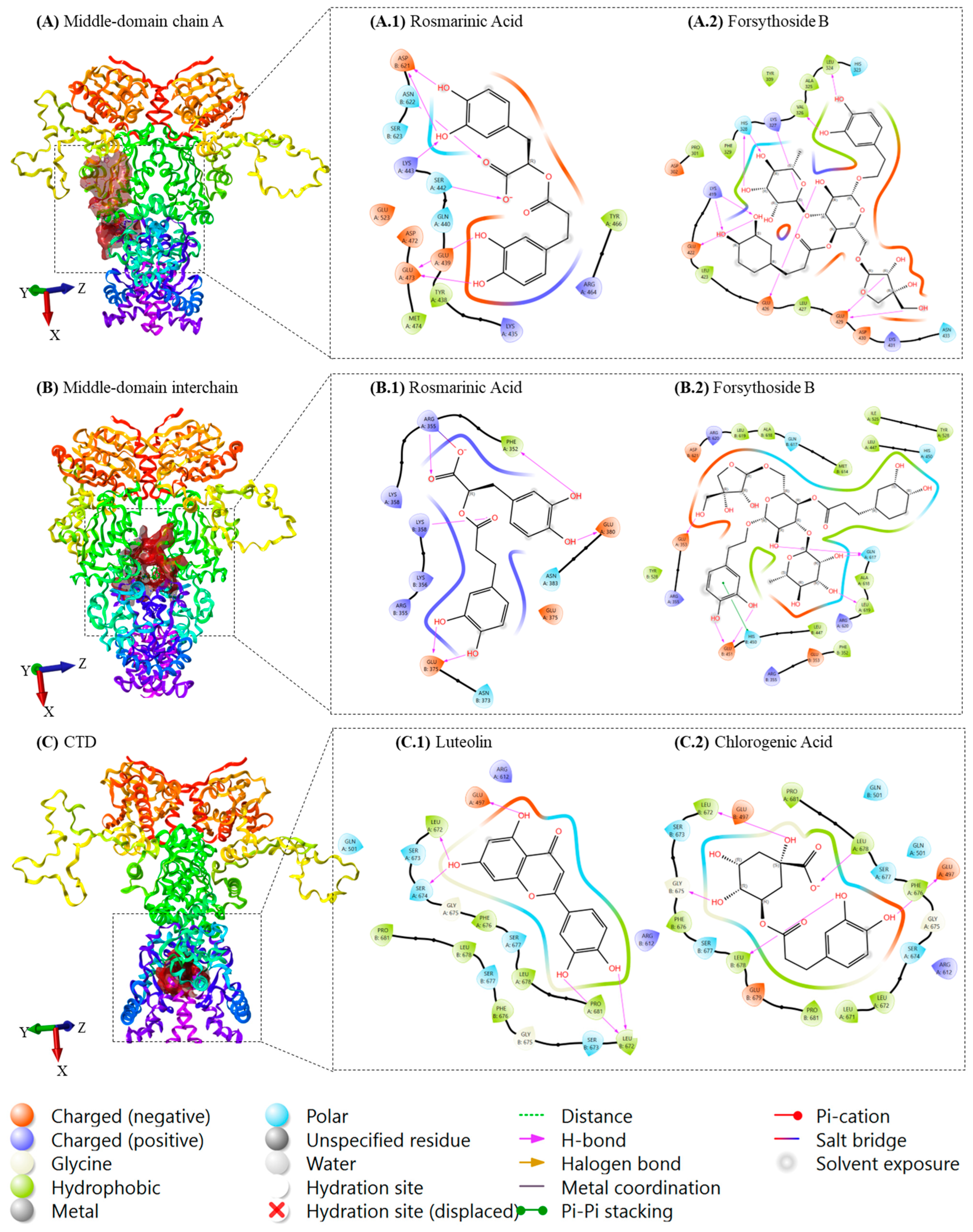 Phytochemical Profiling and Structure-Based Computational ...