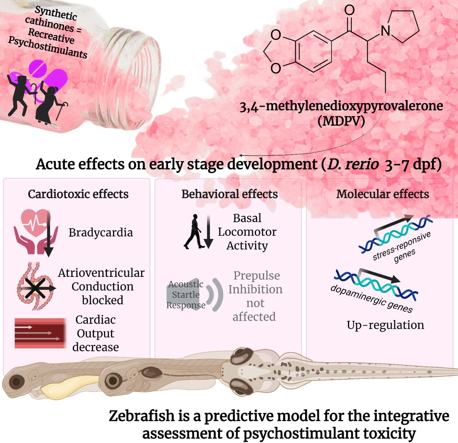 Integrated Assessment of the Cardiotoxic and Neurobehavioral Effects of ...