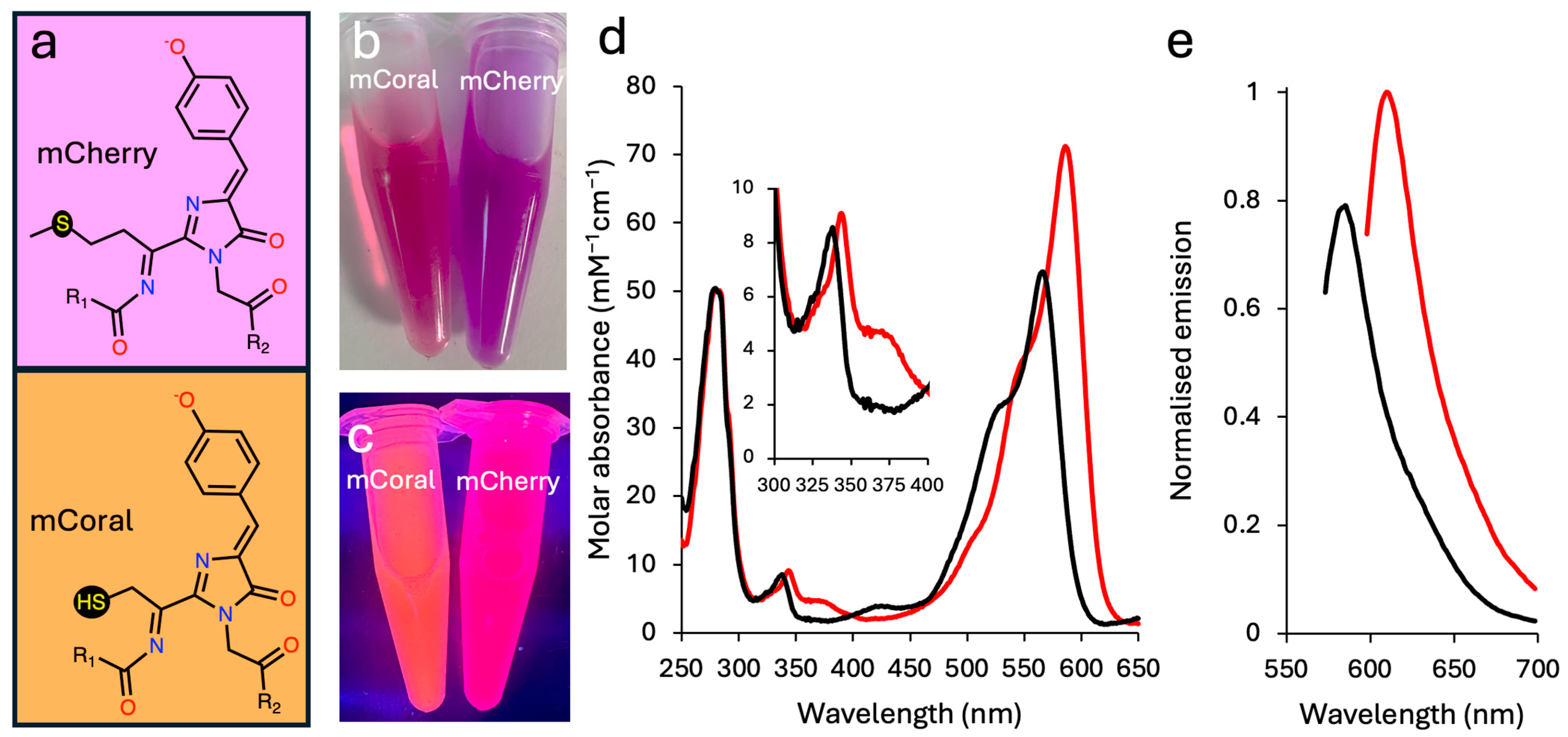 Structure, Function and Dynamics of mCoral, a pH-Responsive Engineered ...