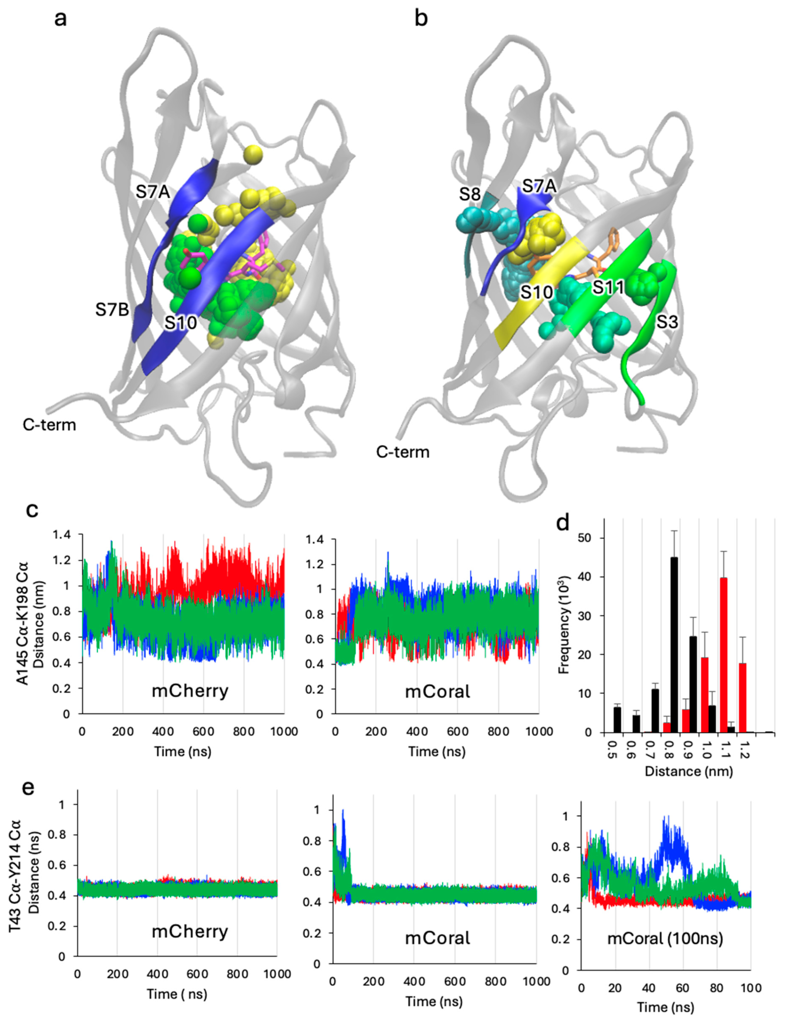 Structure, Function and Dynamics of mCoral, a pH-Responsive Engineered ...
