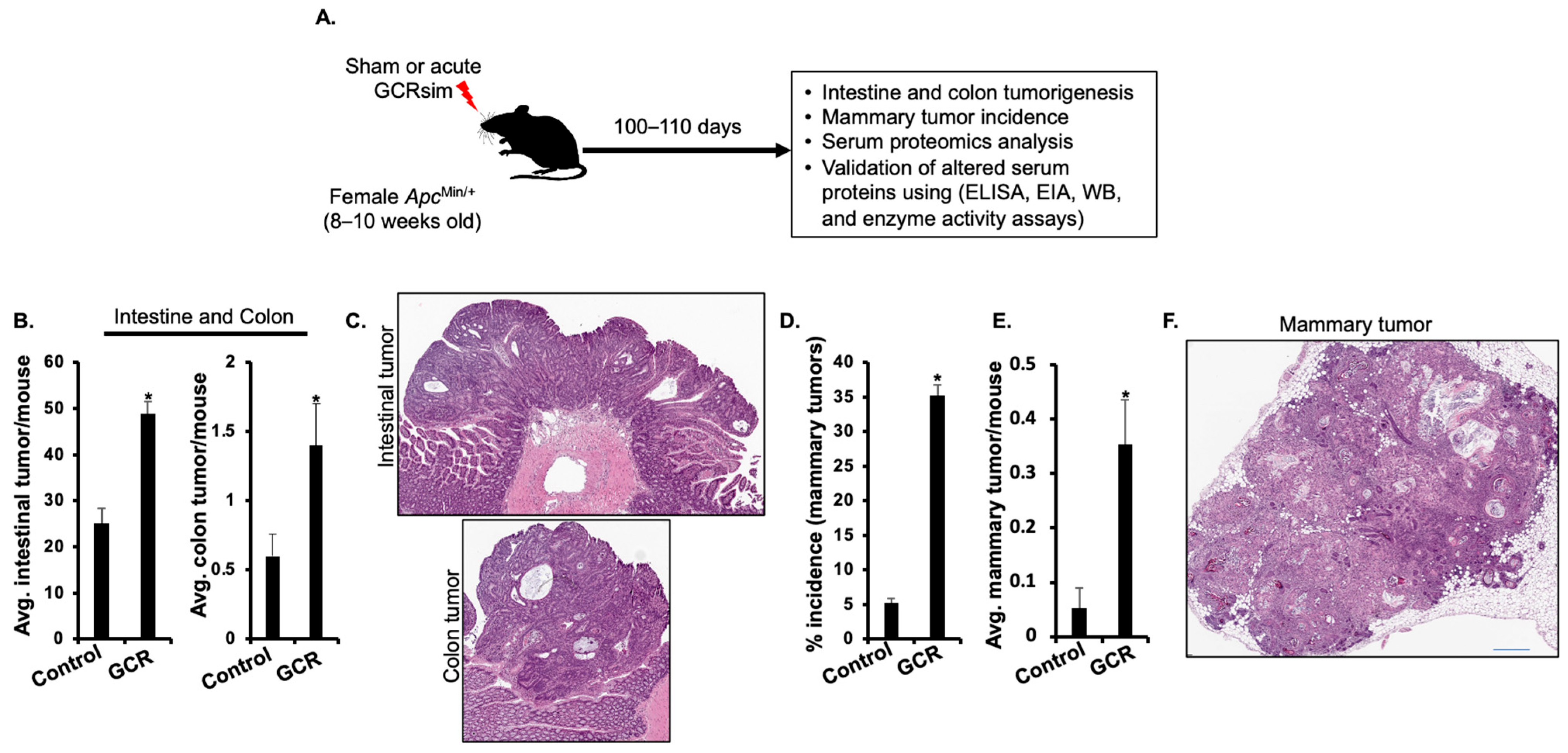 Elevated SASP Factors, Reduced Antioxidant Enzymes, and Increased Tumor ...