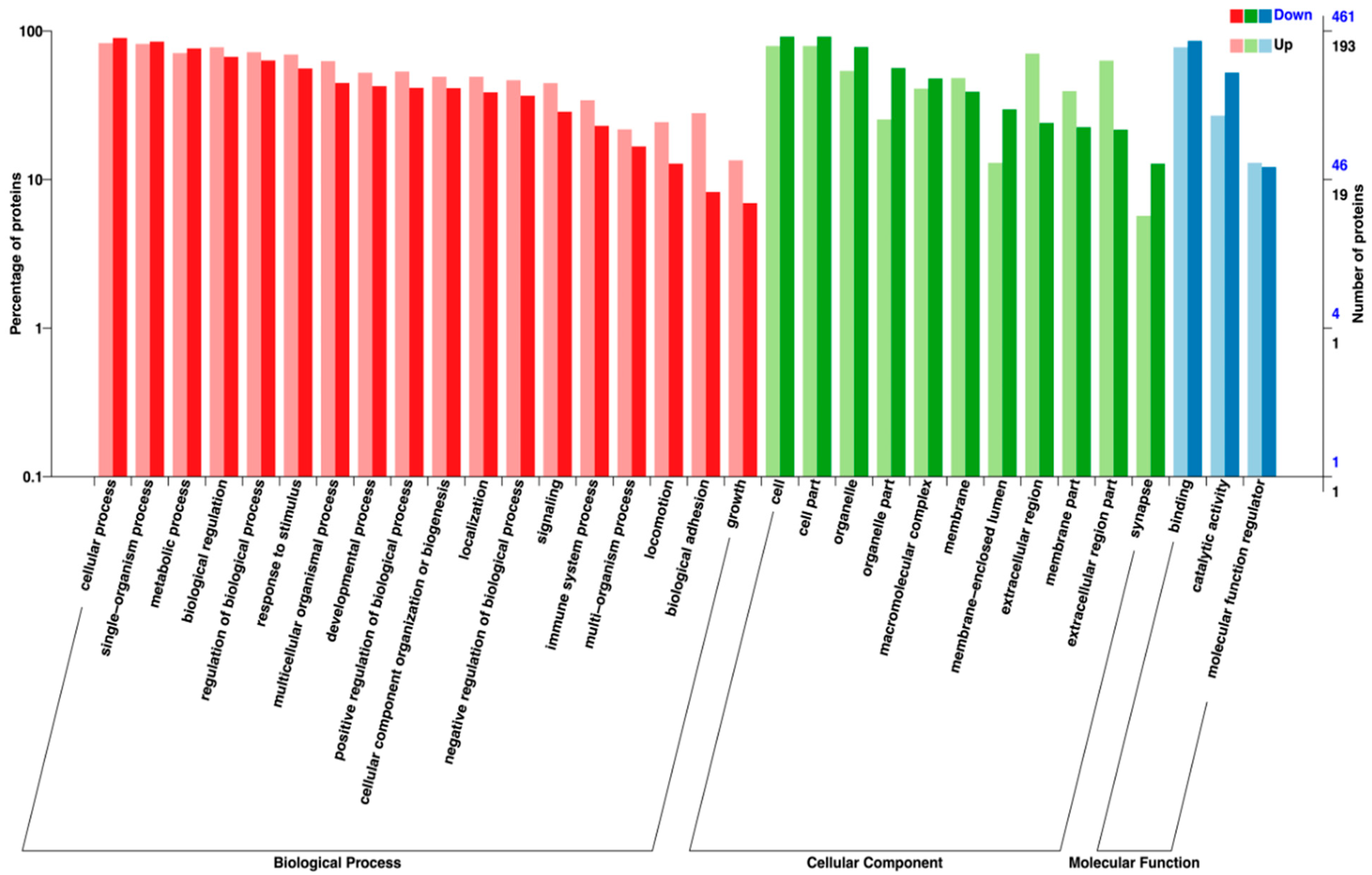 Elevated SASP Factors, Reduced Antioxidant Enzymes, and Increased Tumor ...