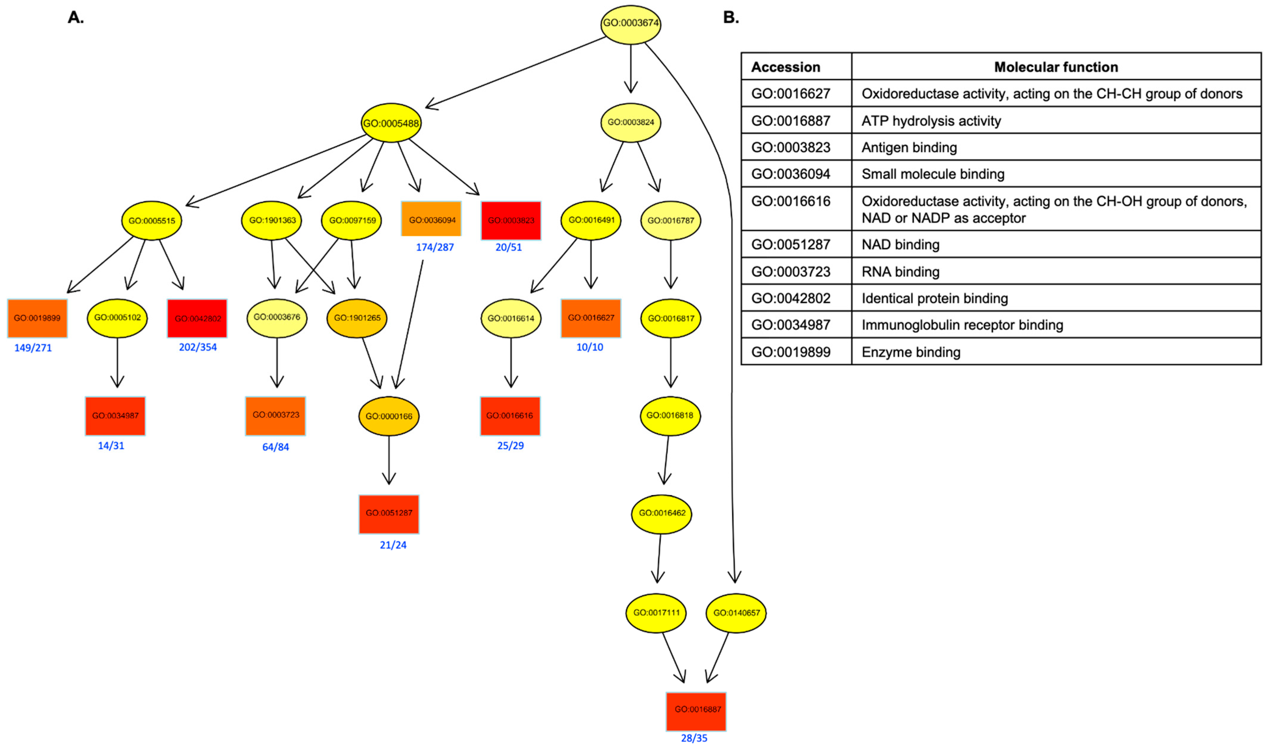 Elevated SASP Factors, Reduced Antioxidant Enzymes, and Increased Tumor ...