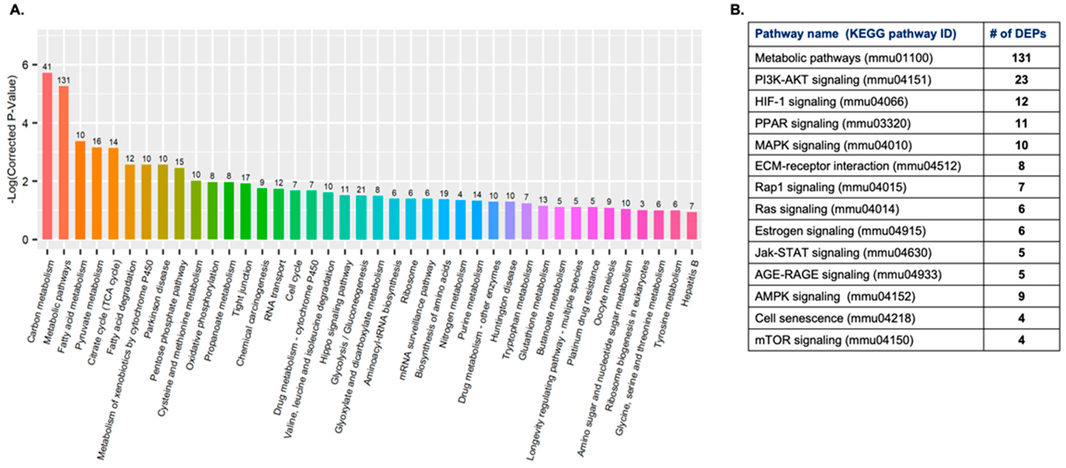 Elevated SASP Factors, Reduced Antioxidant Enzymes, and Increased Tumor ...