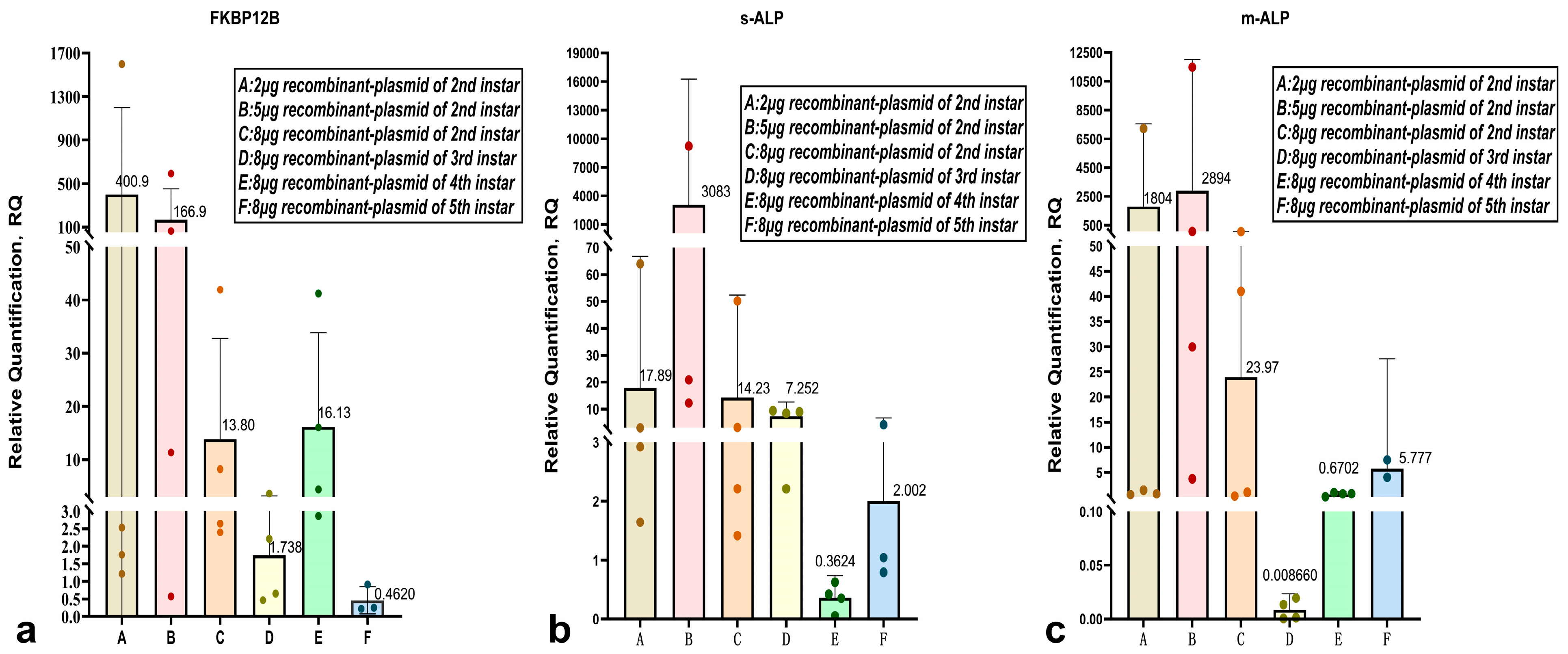 The Effects of FKBP12 Single-Dose Plasmid Oral Preparation on the ...