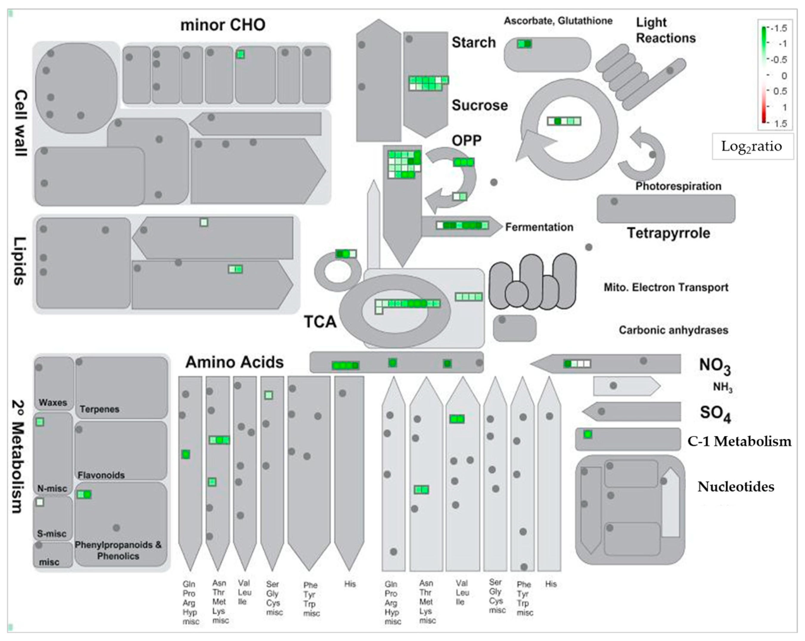 Analyzing the Specificity of KAWLR Genetic Resources in Afghan Landrace ...