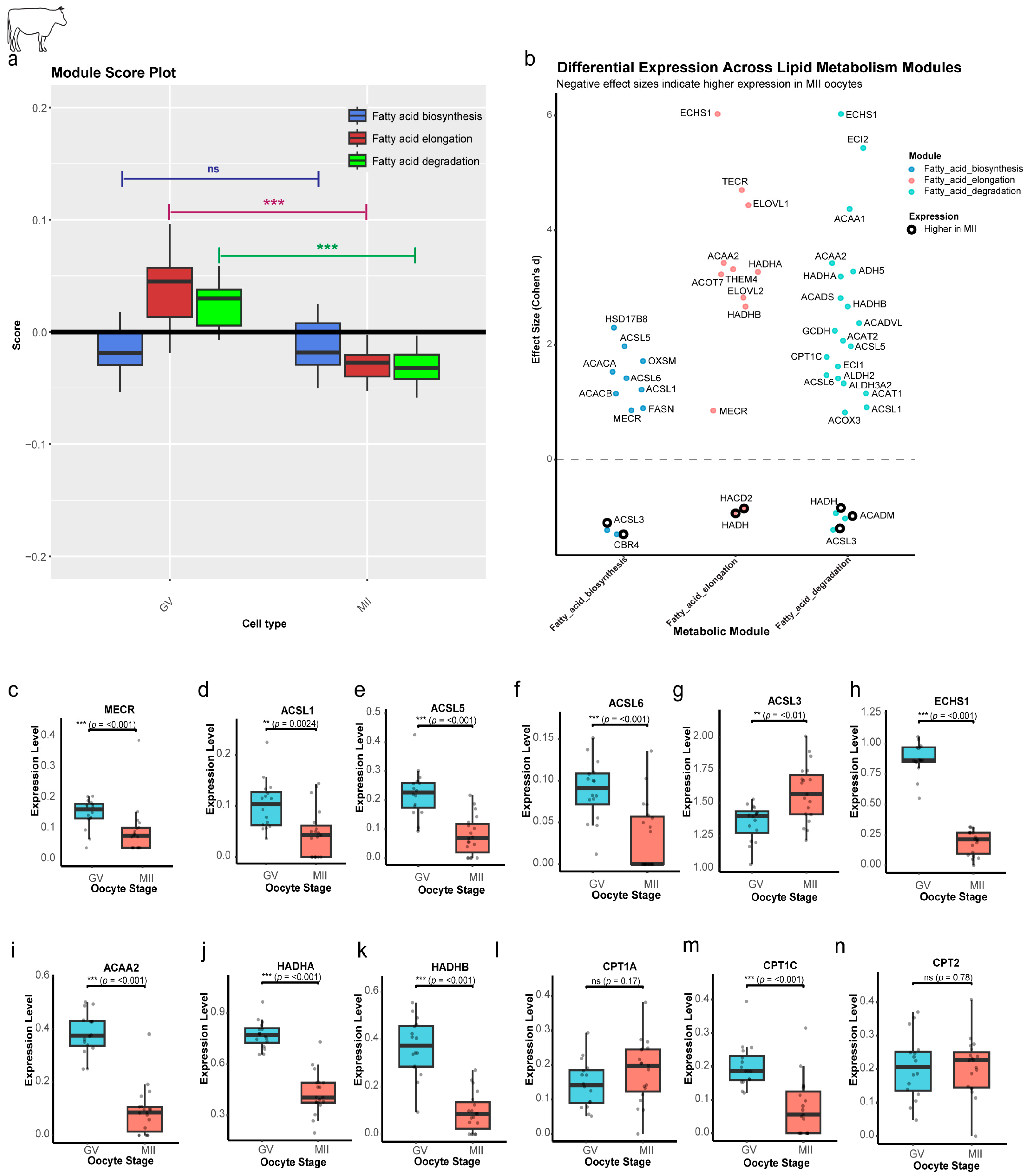 Cross-Species Transcriptomic and Metabolomic Analysis Reveals Conserved ...
