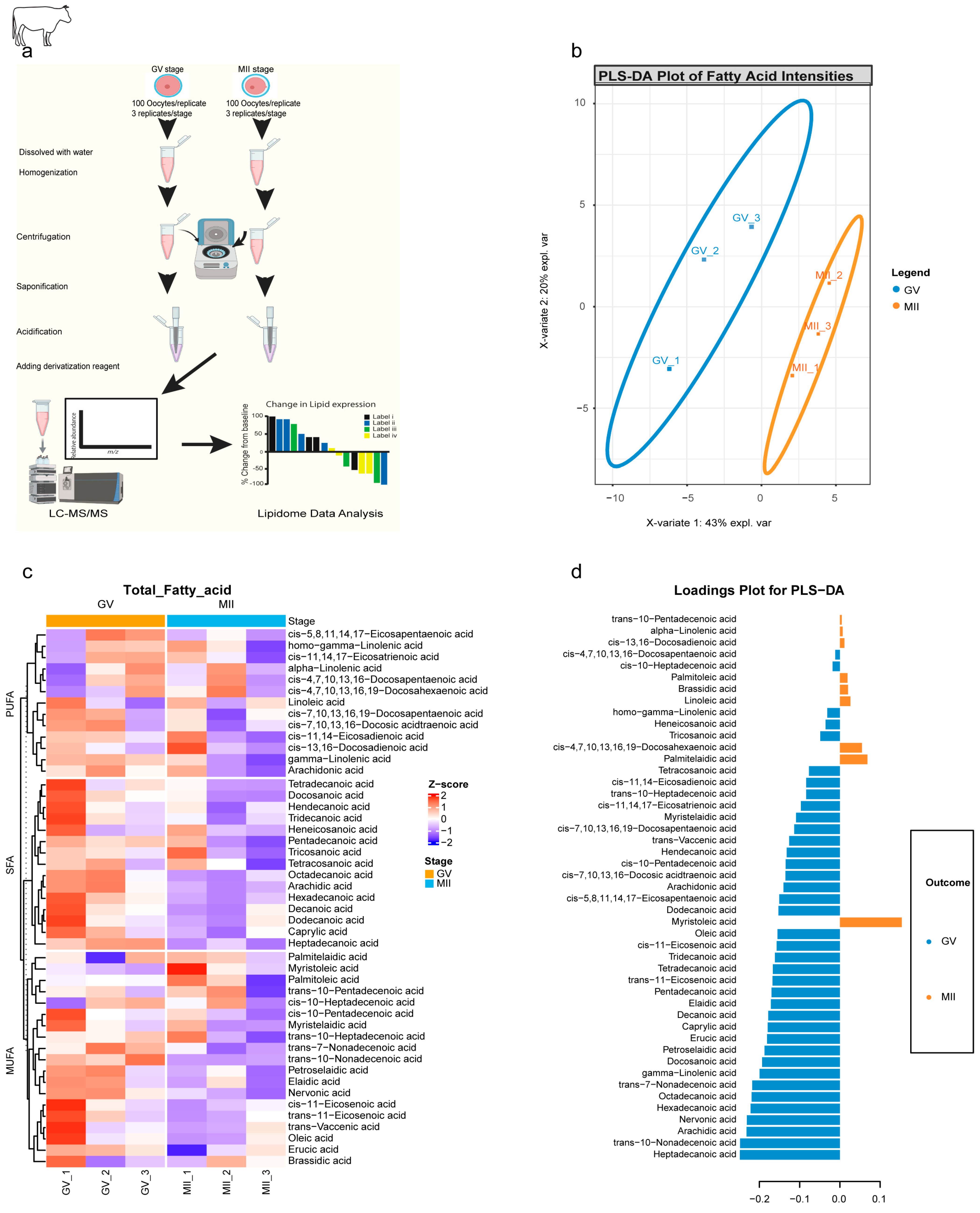 Cross-Species Transcriptomic and Metabolomic Analysis Reveals Conserved ...