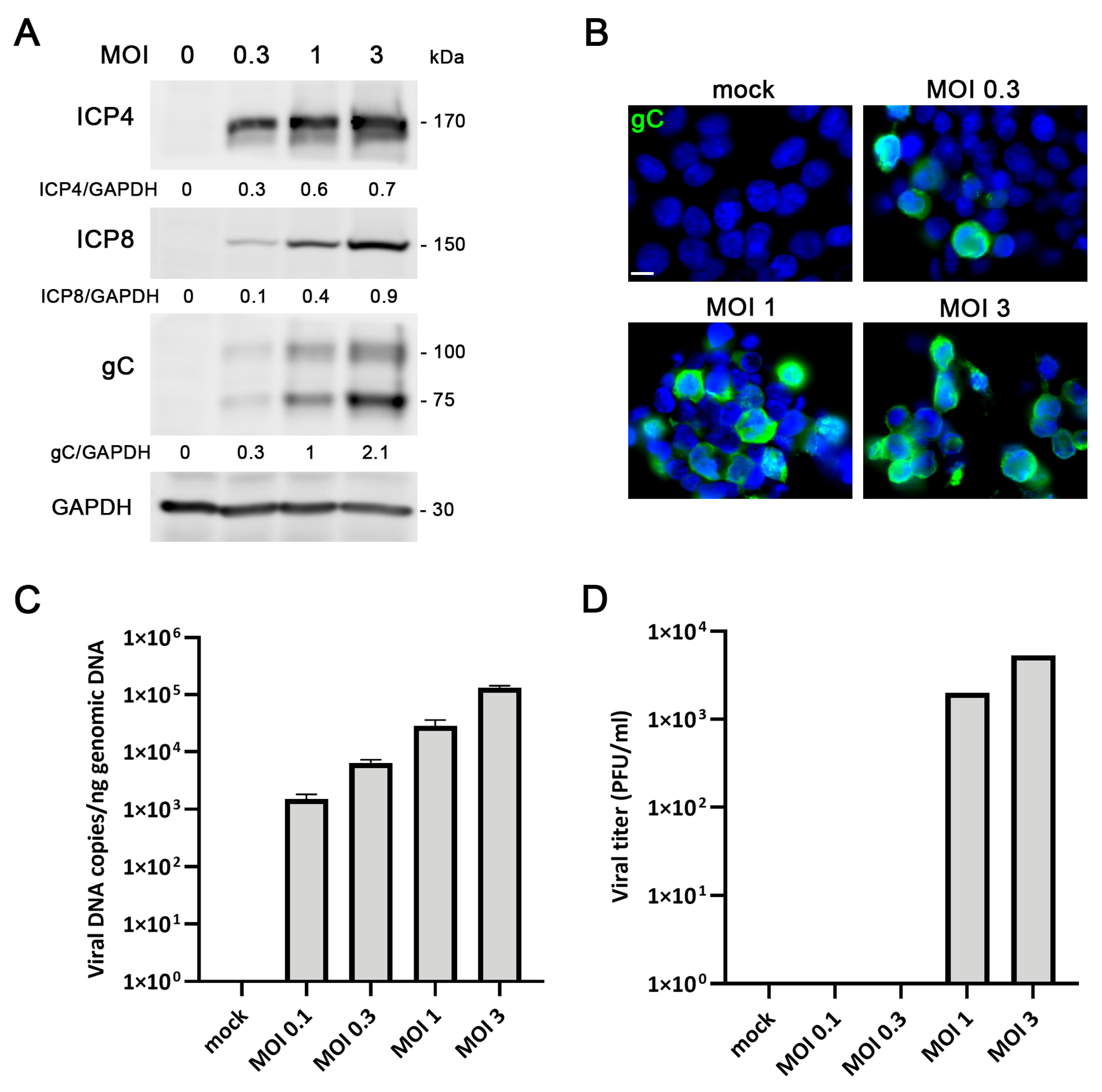 Impact of HSV-1 Infection on Alzheimer’s Disease Neurodegeneration ...