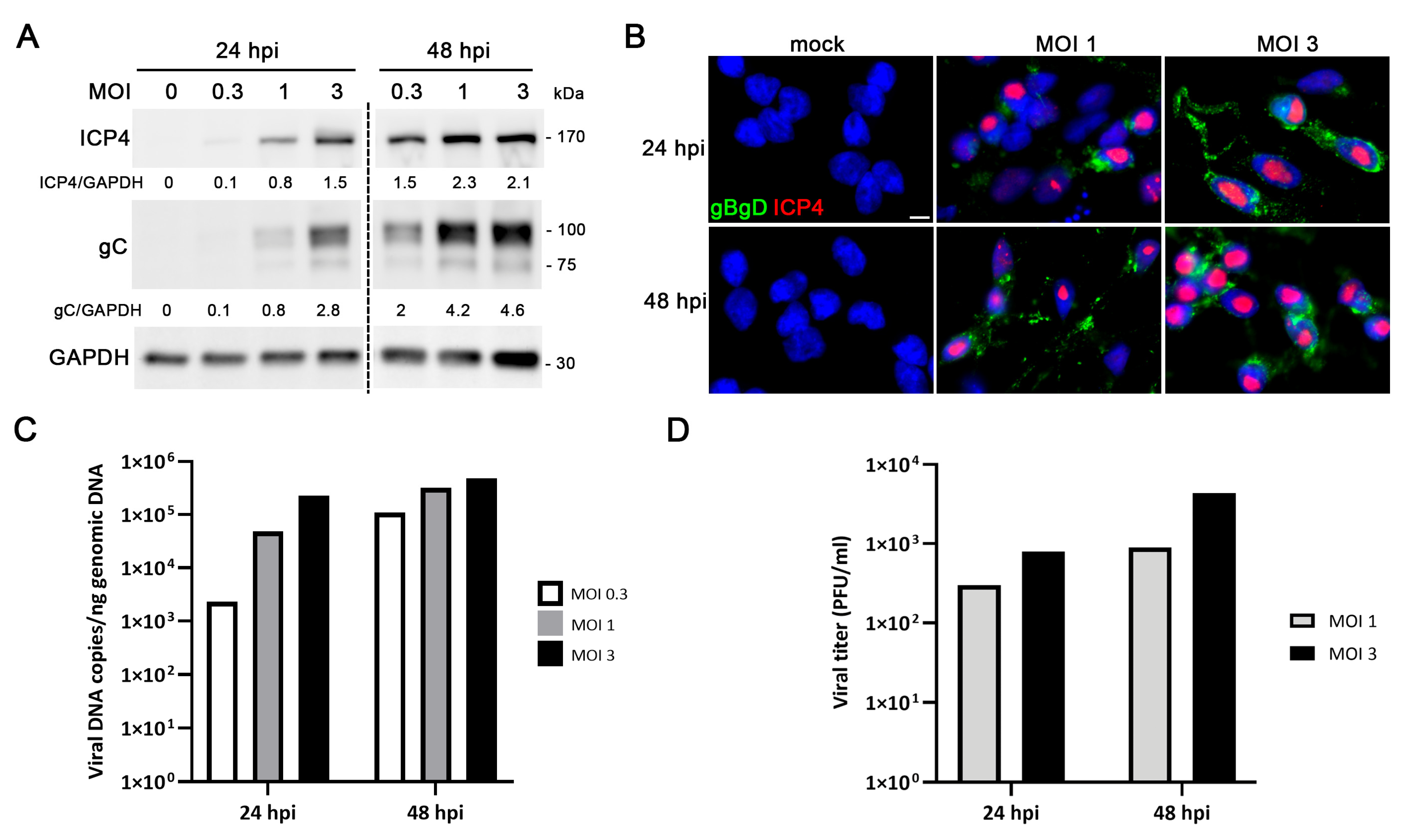 Impact of HSV-1 Infection on Alzheimer’s Disease Neurodegeneration ...