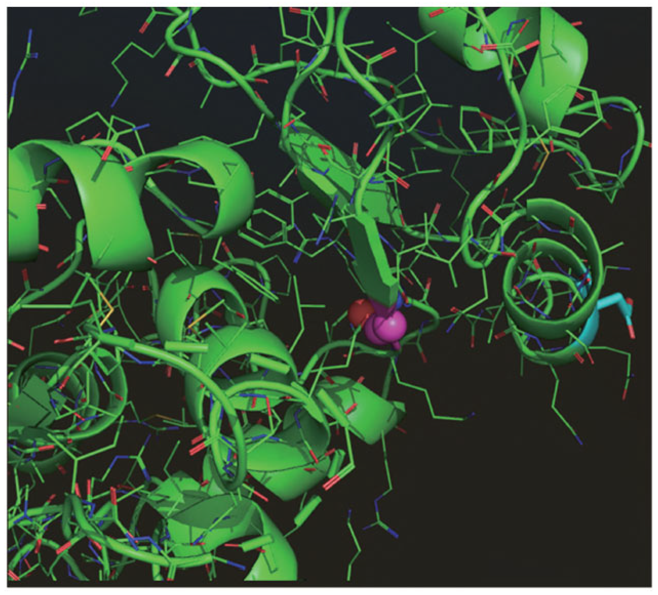 FIR/PUF60: Multifunctional Molecule Through RNA Splicing for Revealing ...