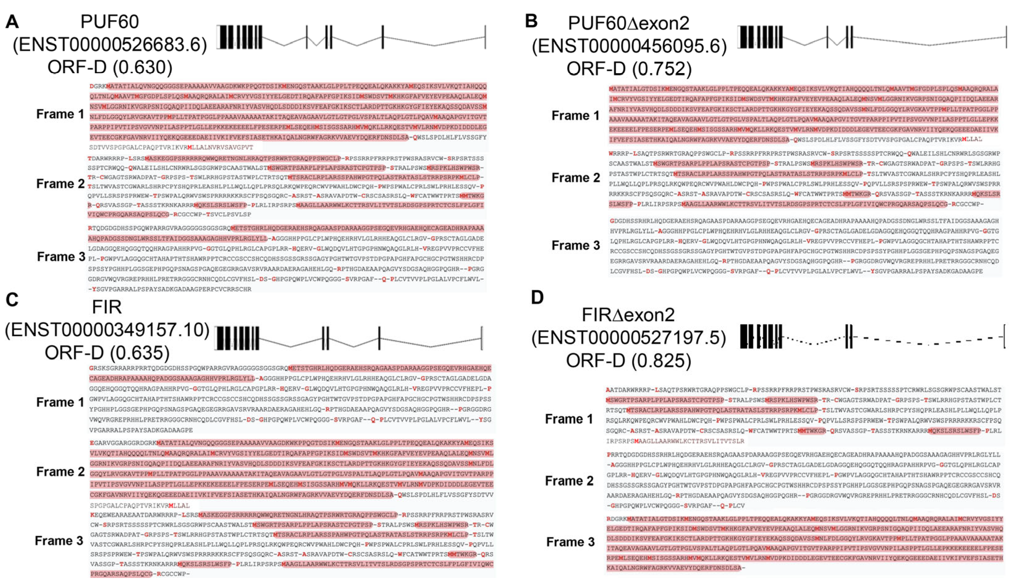 FIR/PUF60: Multifunctional Molecule Through RNA Splicing for Revealing ...