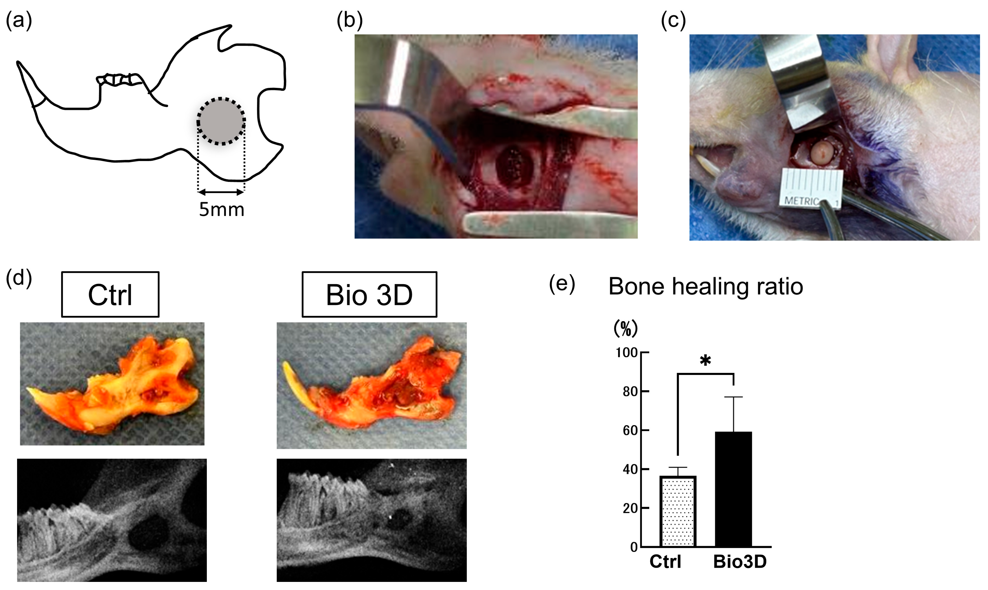 Enhanced Bone Regeneration by Scaffold-Free Three-Dimensional ...