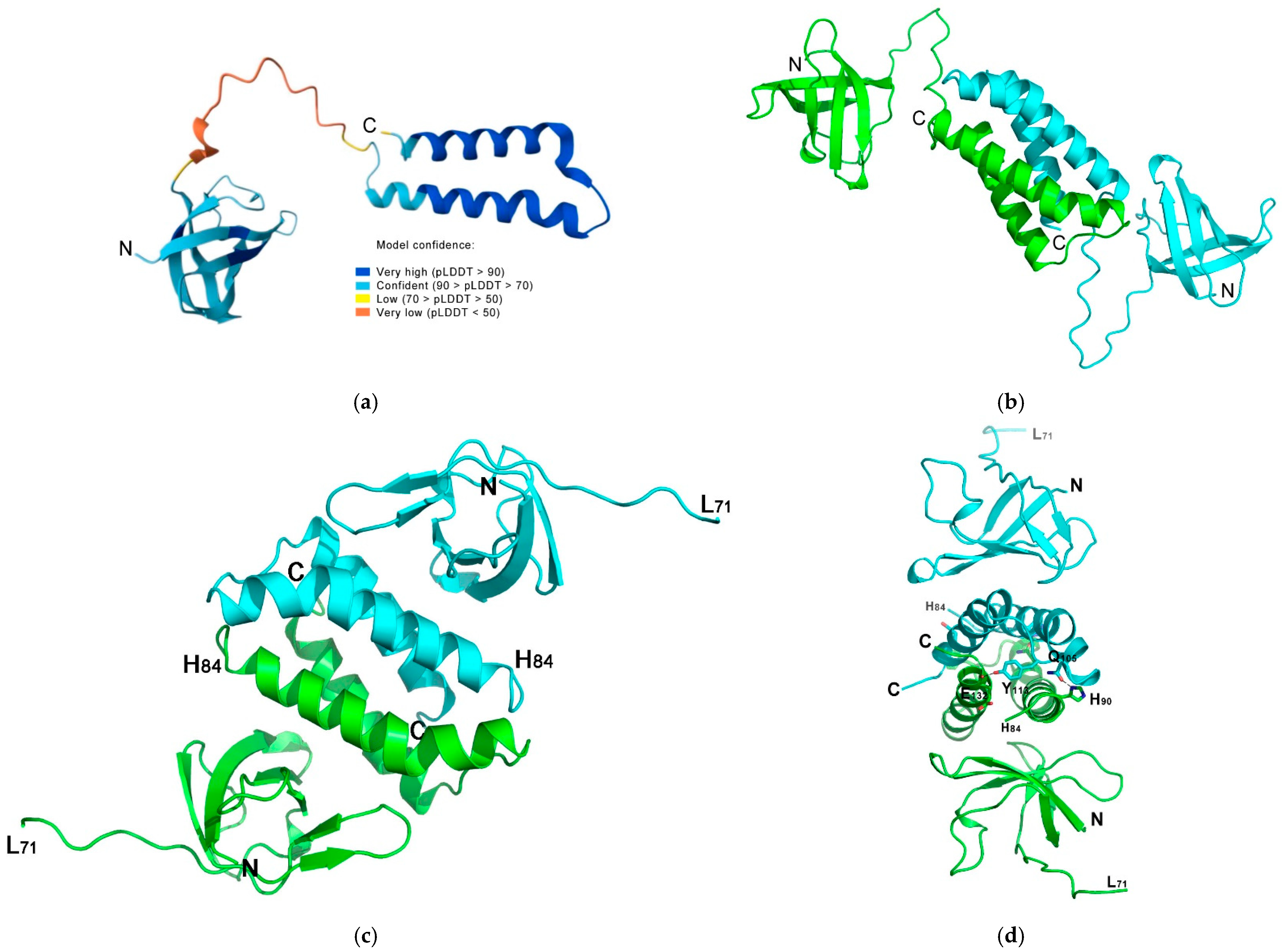 The Cold Shock Protein CspB from Mycobacterium tuberculosis Binds to ...