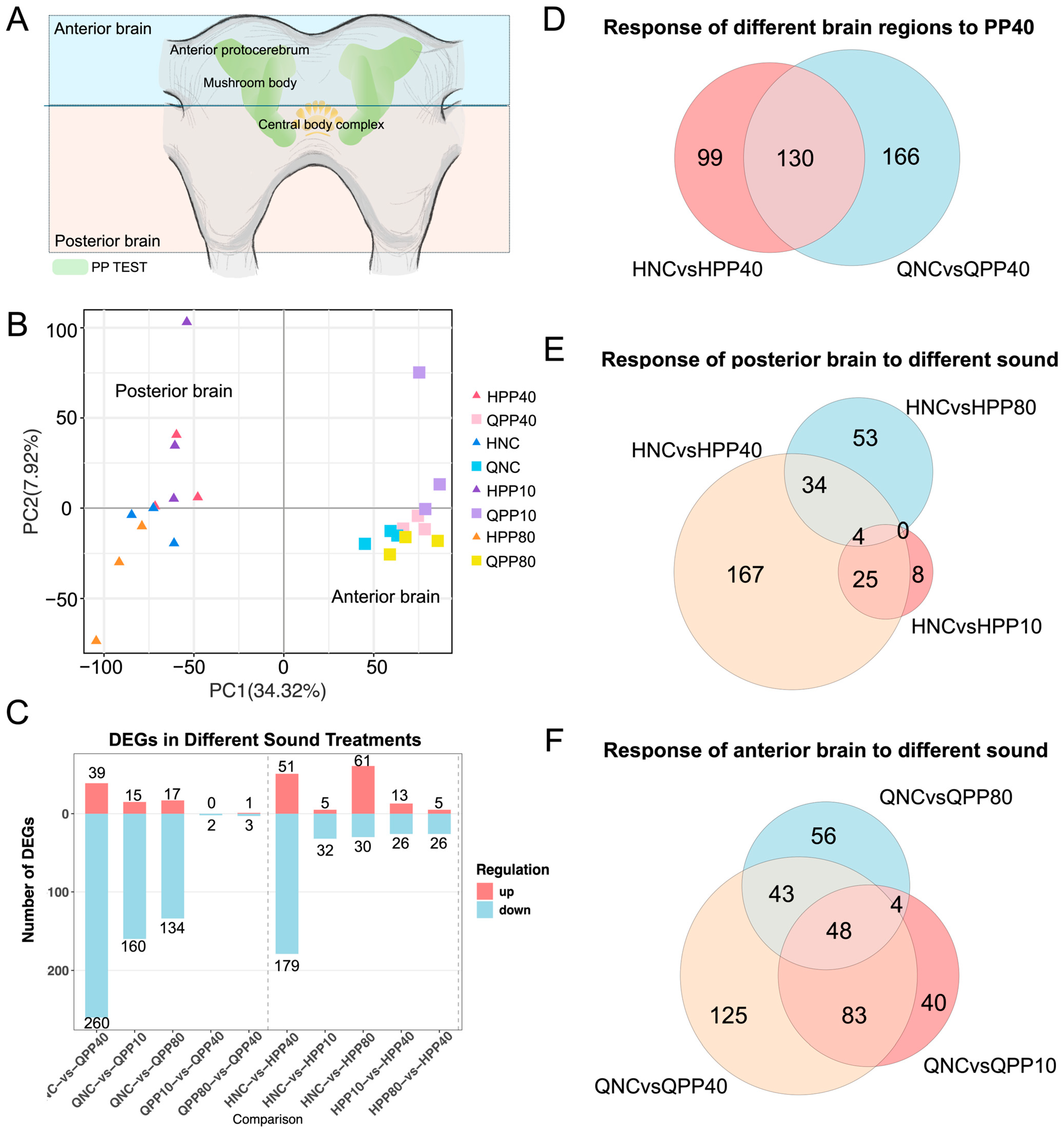 A Co-Expressed Cluster of Genes in the Anterior Brain of Female ...