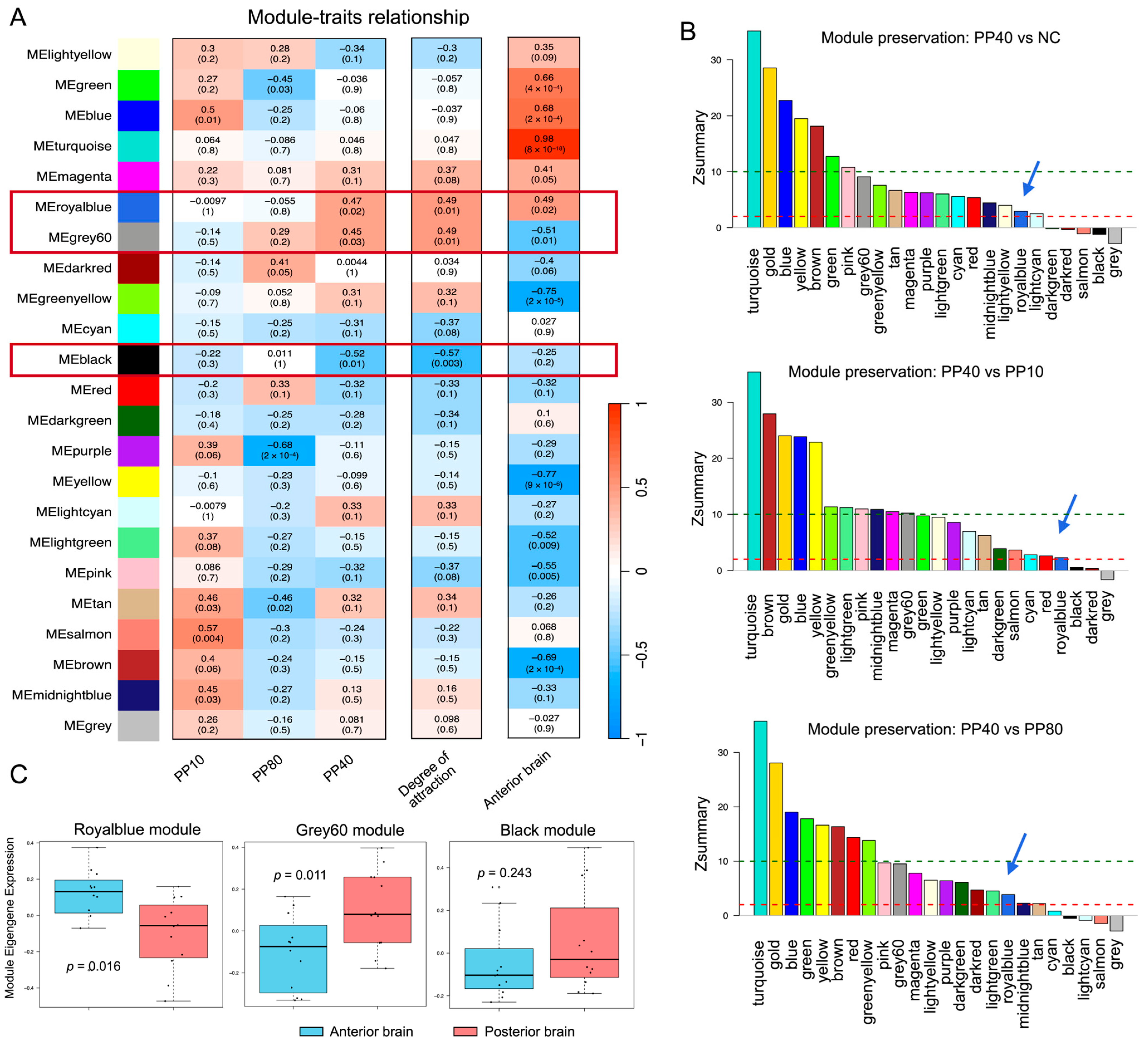A Co-Expressed Cluster of Genes in the Anterior Brain of Female ...