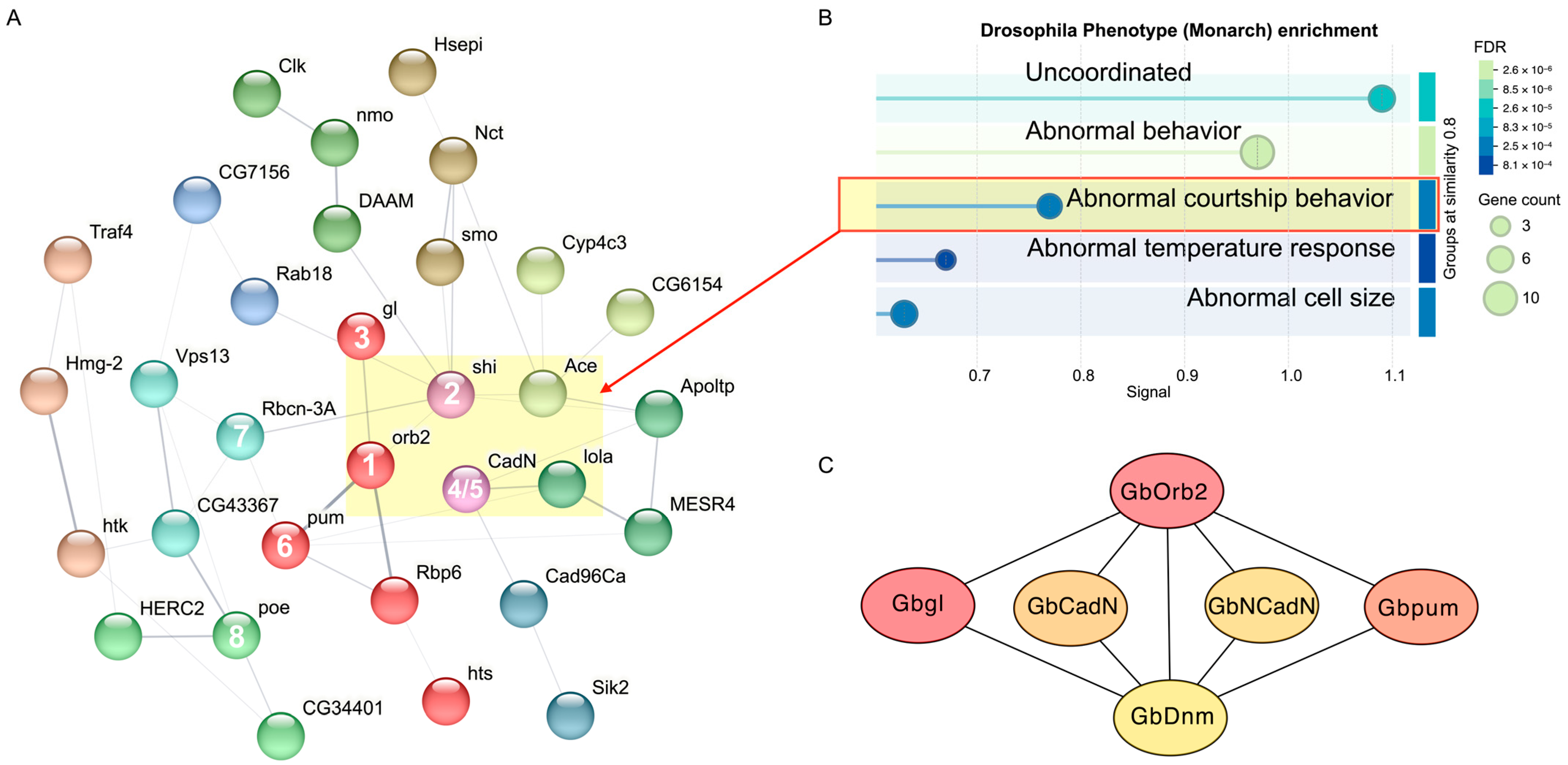 A Co-Expressed Cluster of Genes in the Anterior Brain of Female ...