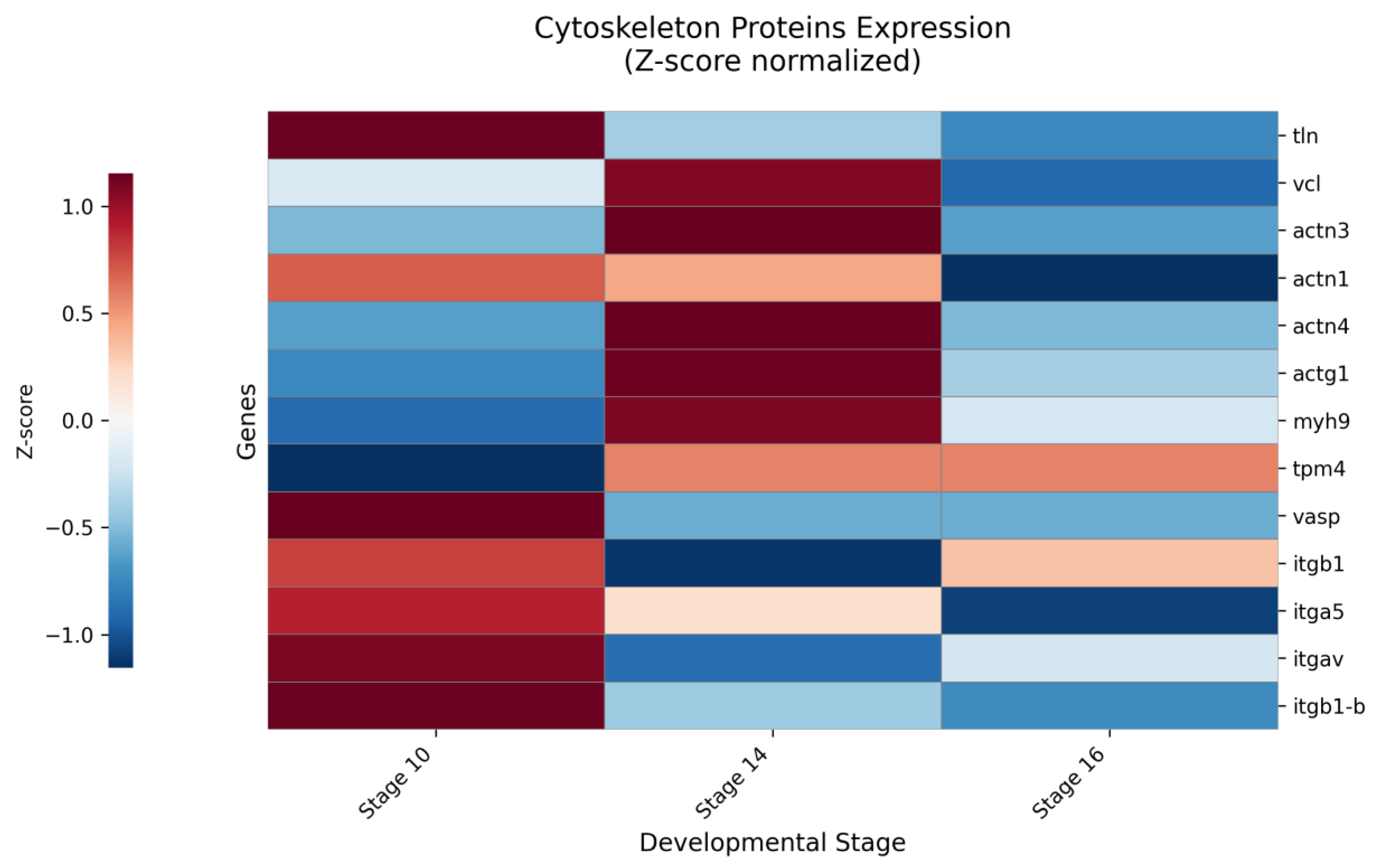 Co-Immunoprecipitation-Coupled Mass Spectrometry Analysis of Zyxin’s ...