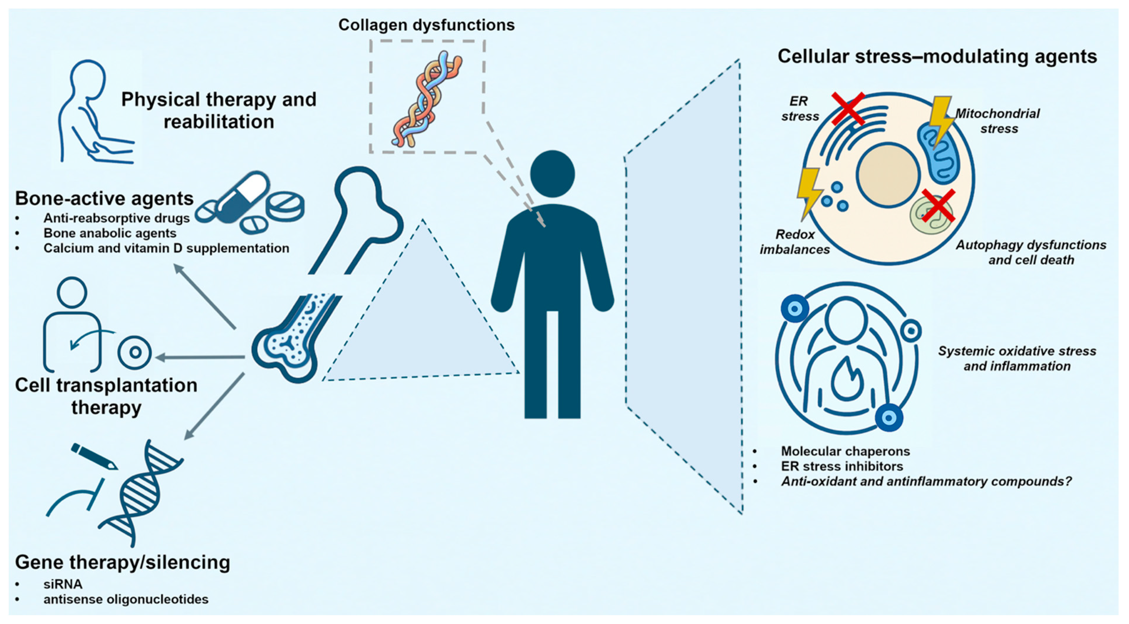 A New Perspective on Osteogenesis Imperfecta: From Cellular Mechanisms ...