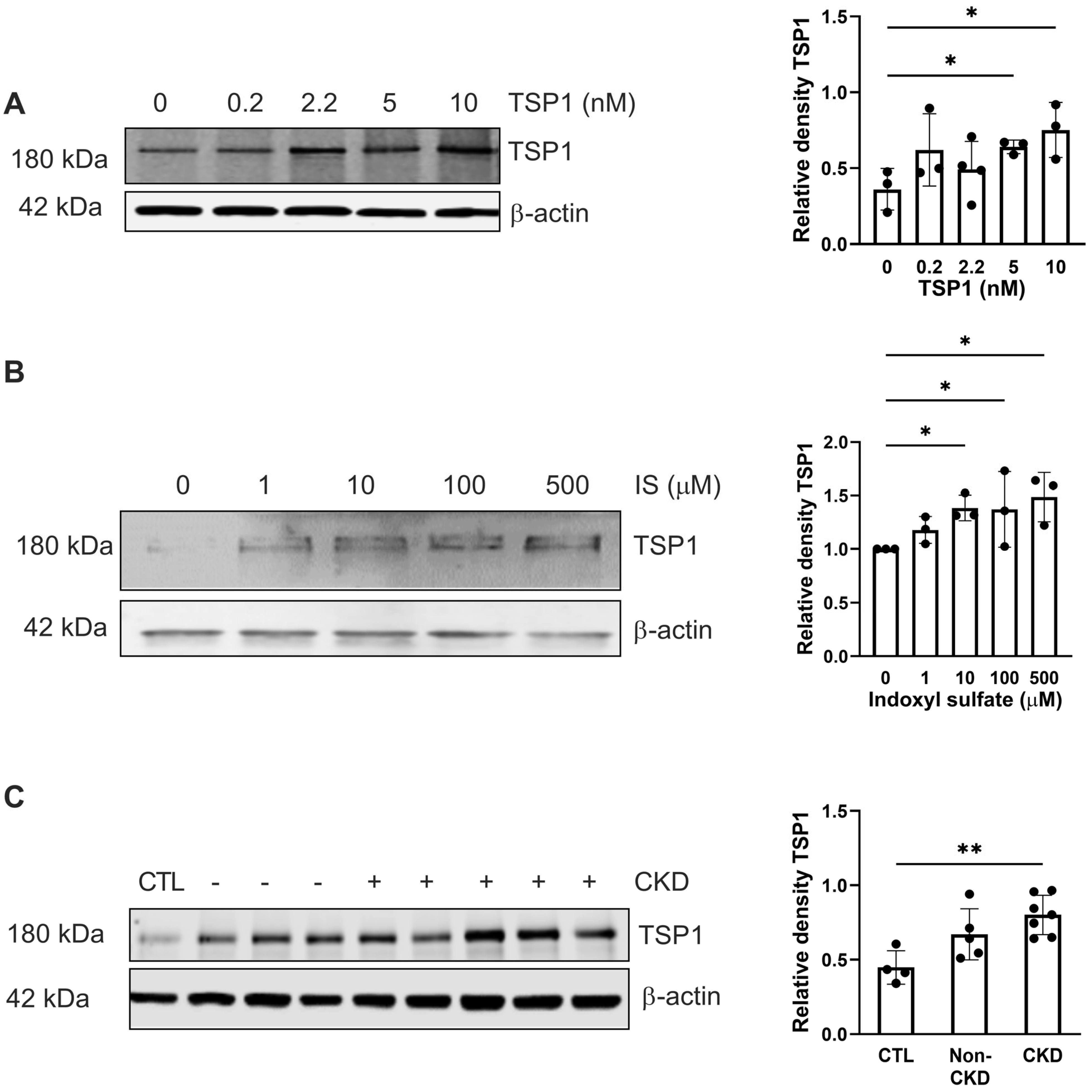 Thrombospondin 1–CD47 Signalling Modulates Vascular Smooth Muscle Cell ...