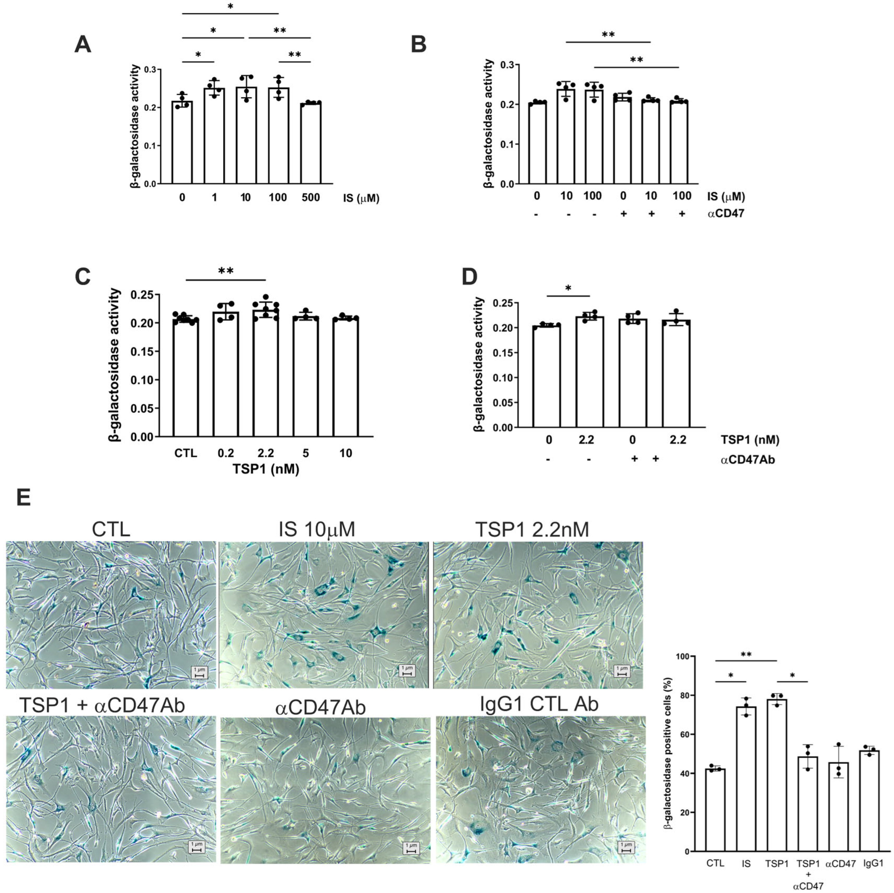 Thrombospondin 1–CD47 Signalling Modulates Vascular Smooth Muscle Cell ...