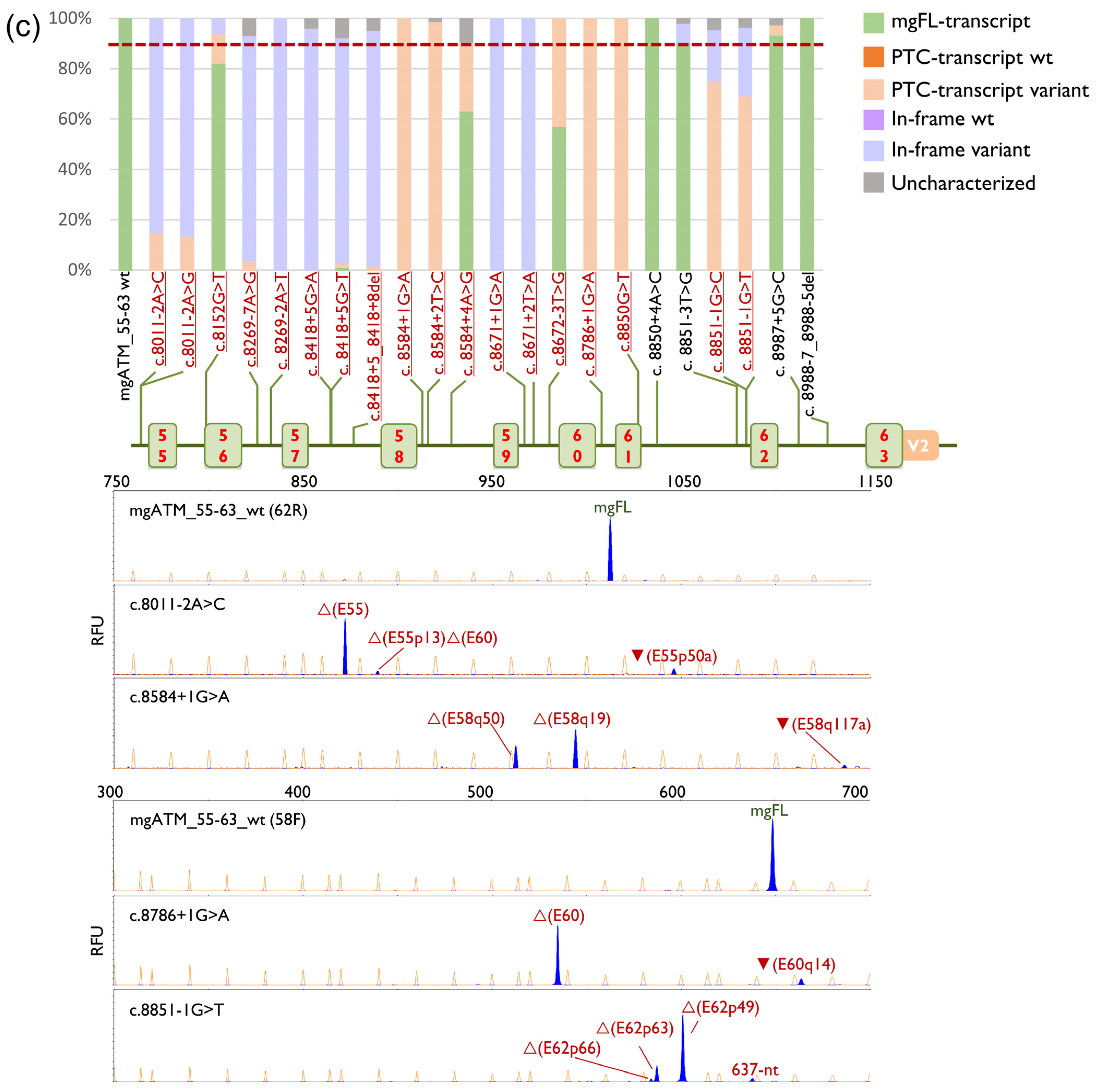 Experimental Mis-Splicing Assessment and ACMG/AMP-Guided Classification ...
