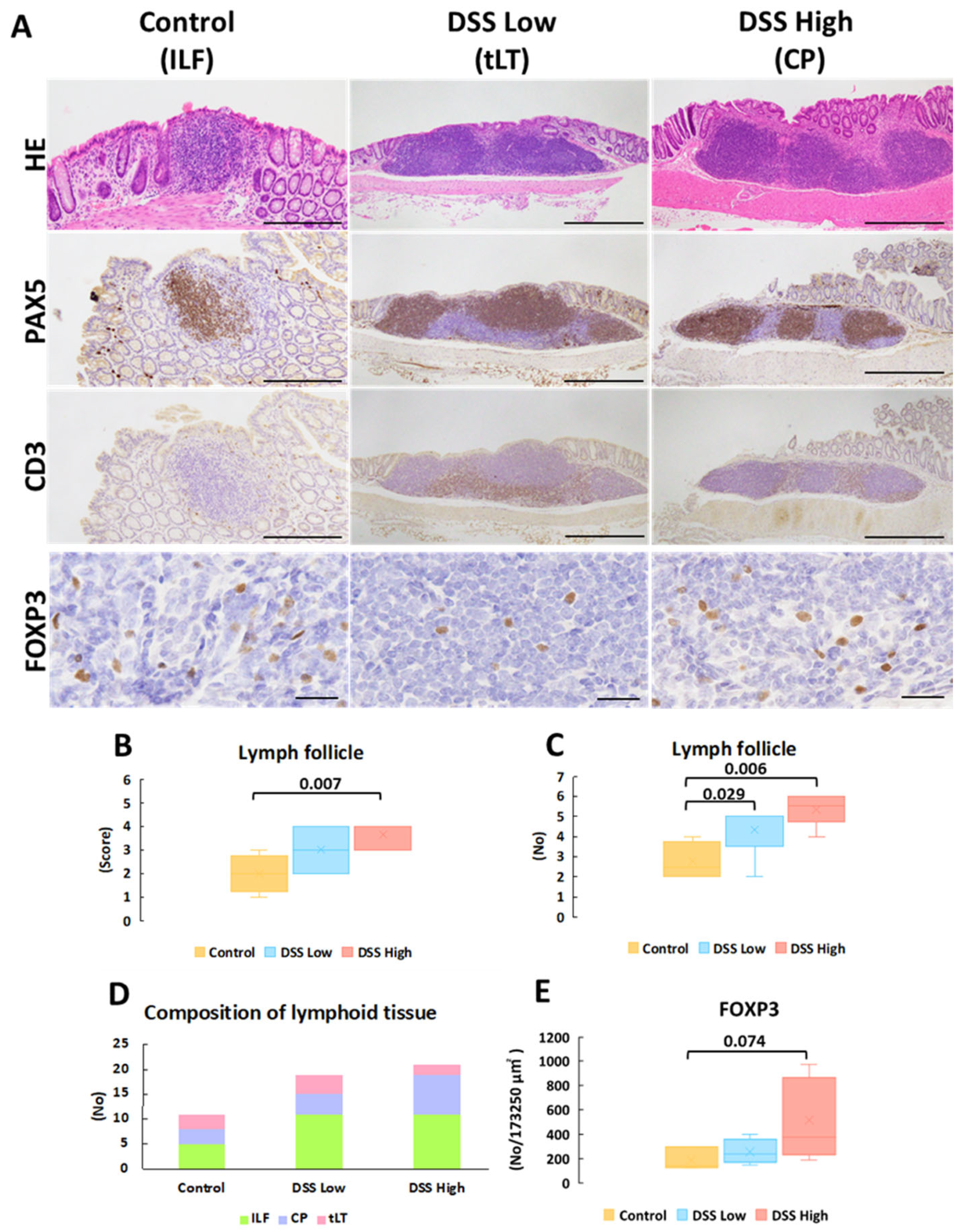 Wnt and Treg-Associated Signaling Coordinate Mucosal Regeneration and ...