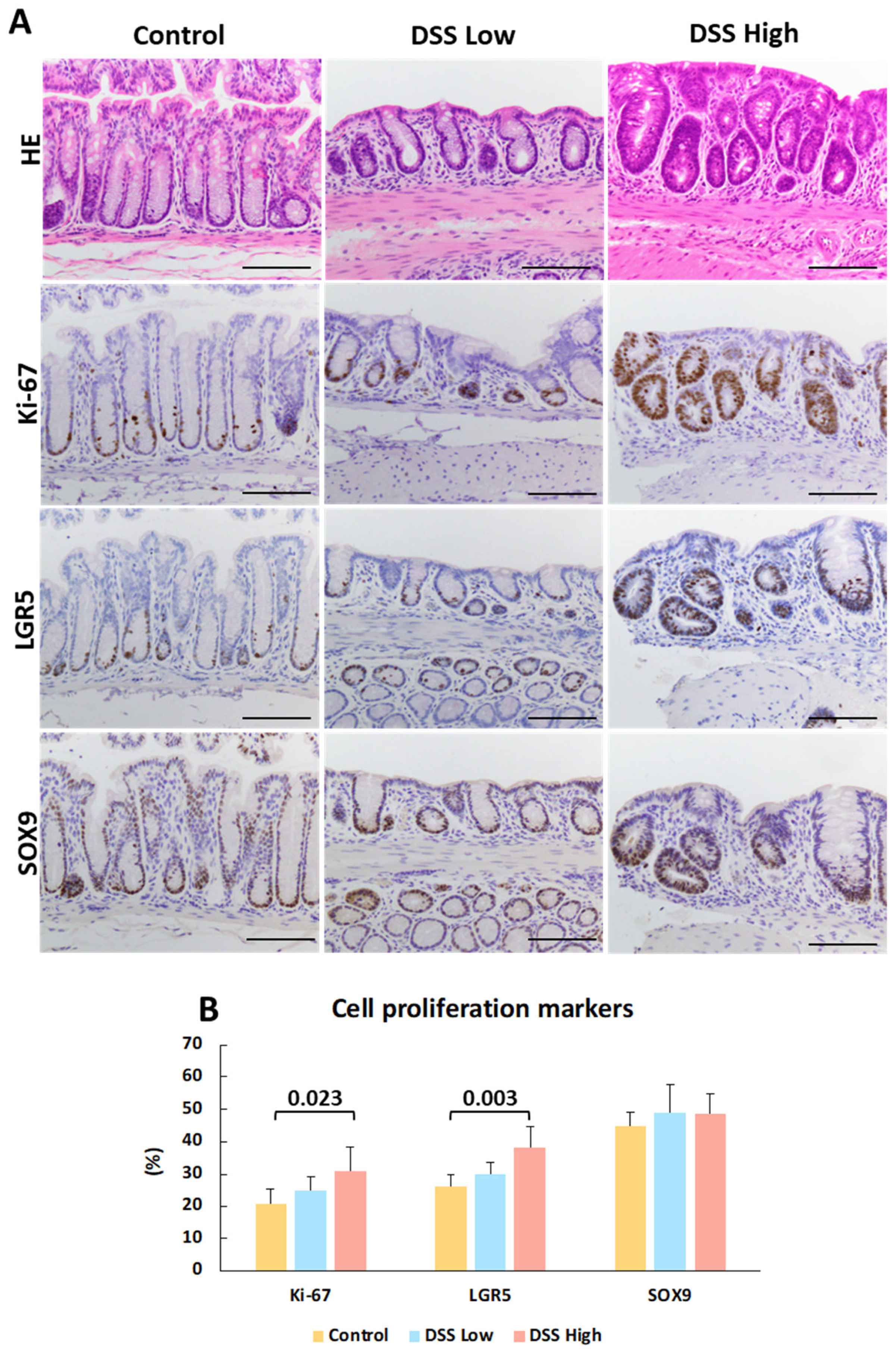 Wnt and Treg-Associated Signaling Coordinate Mucosal Regeneration and ...