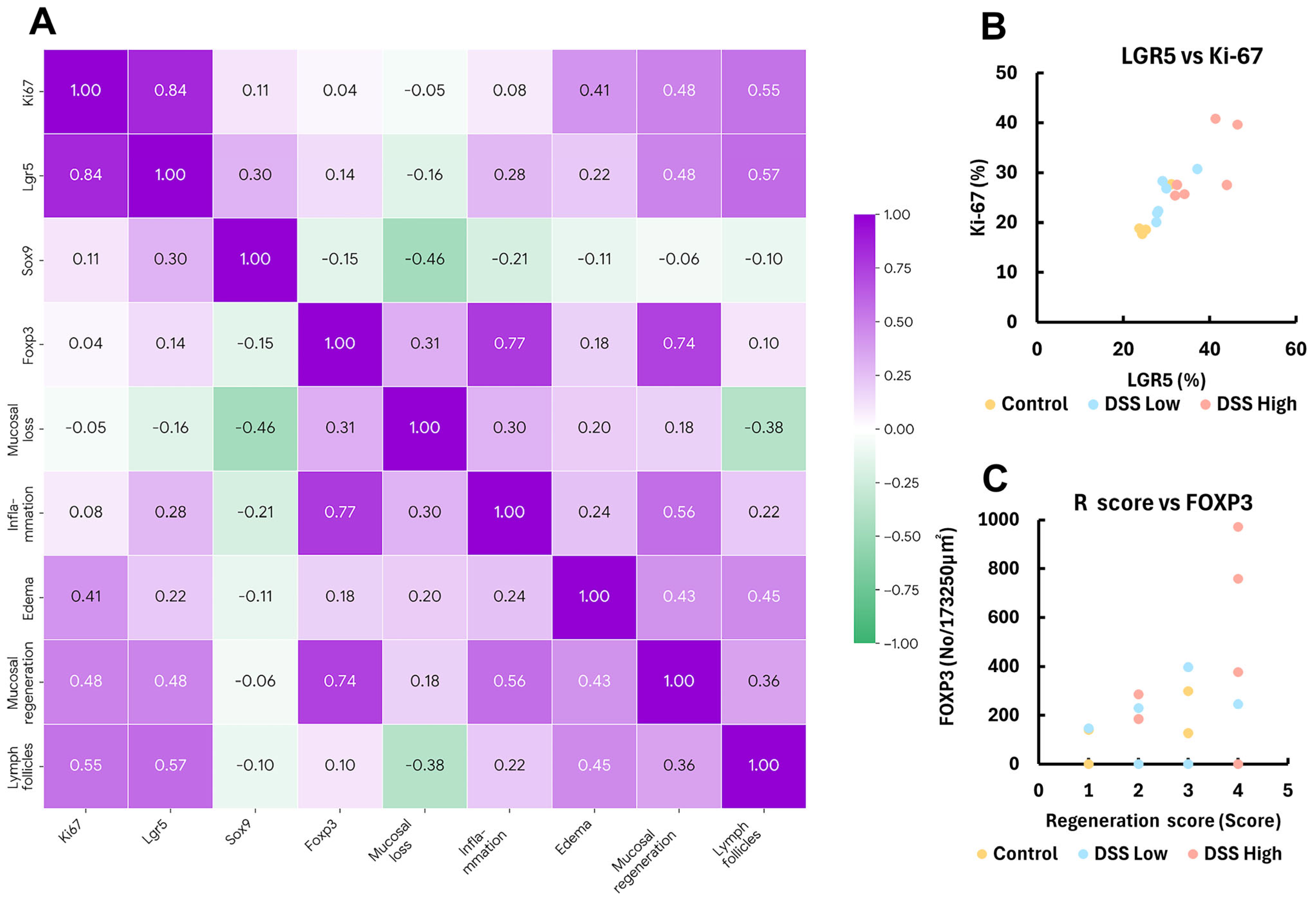 Wnt and Treg-Associated Signaling Coordinate Mucosal Regeneration and ...
