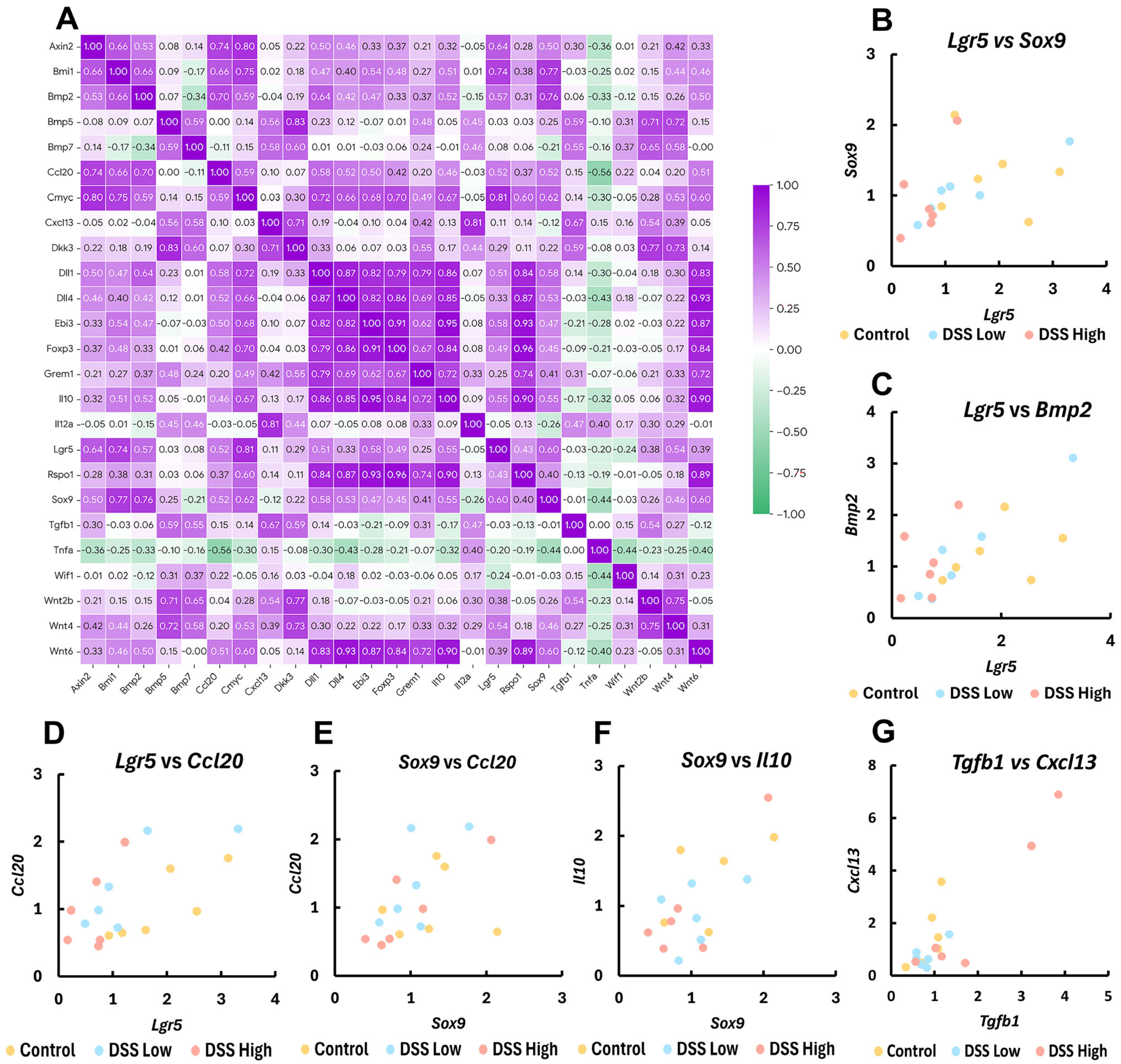 Wnt and Treg-Associated Signaling Coordinate Mucosal Regeneration and ...