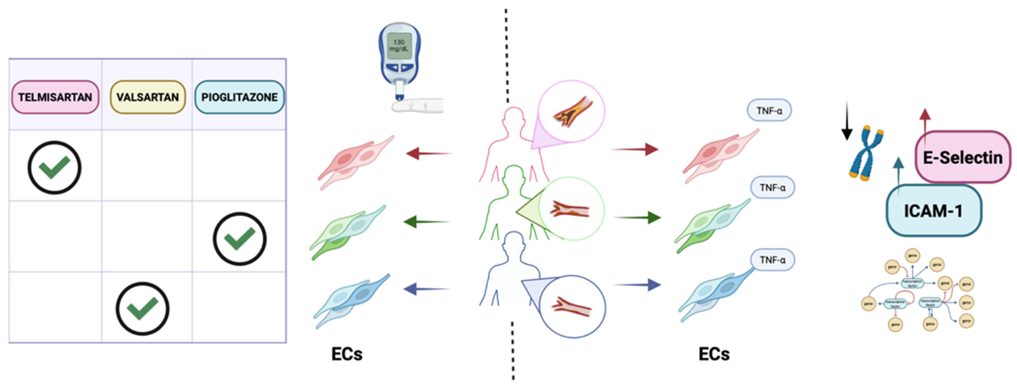 iPSC-Derived Endothelial Cells as Experimental Models for Predictive ...