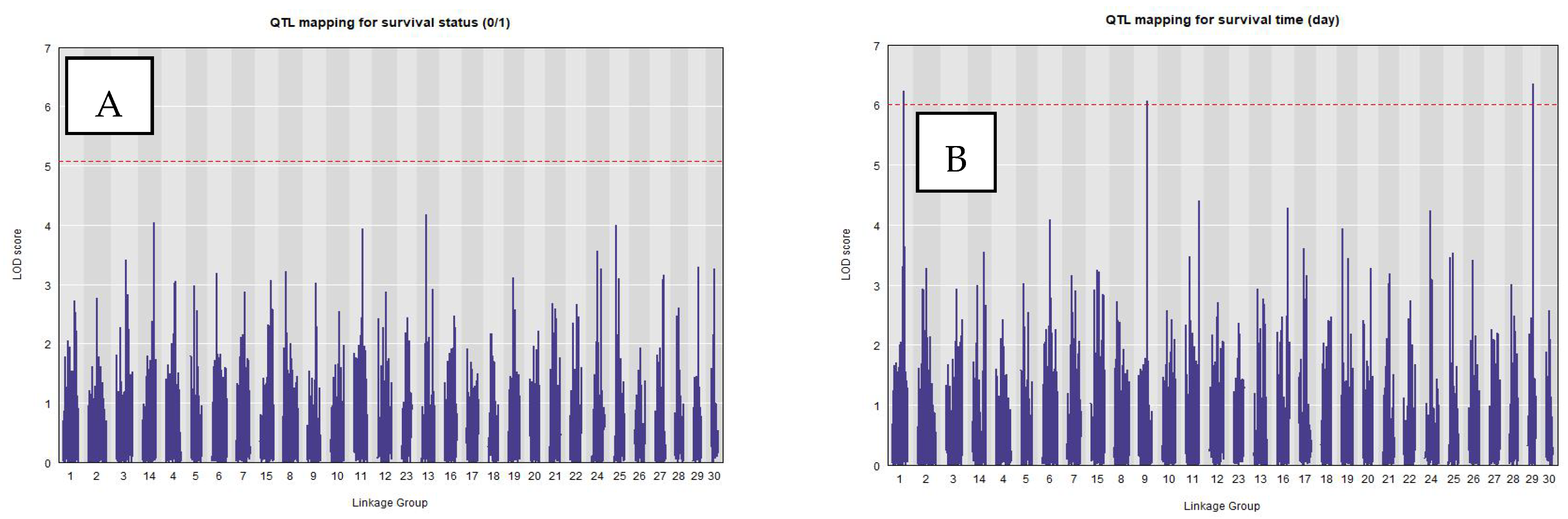First High-Density Linkage Map and Quantitative Trait Loci for Disease ...