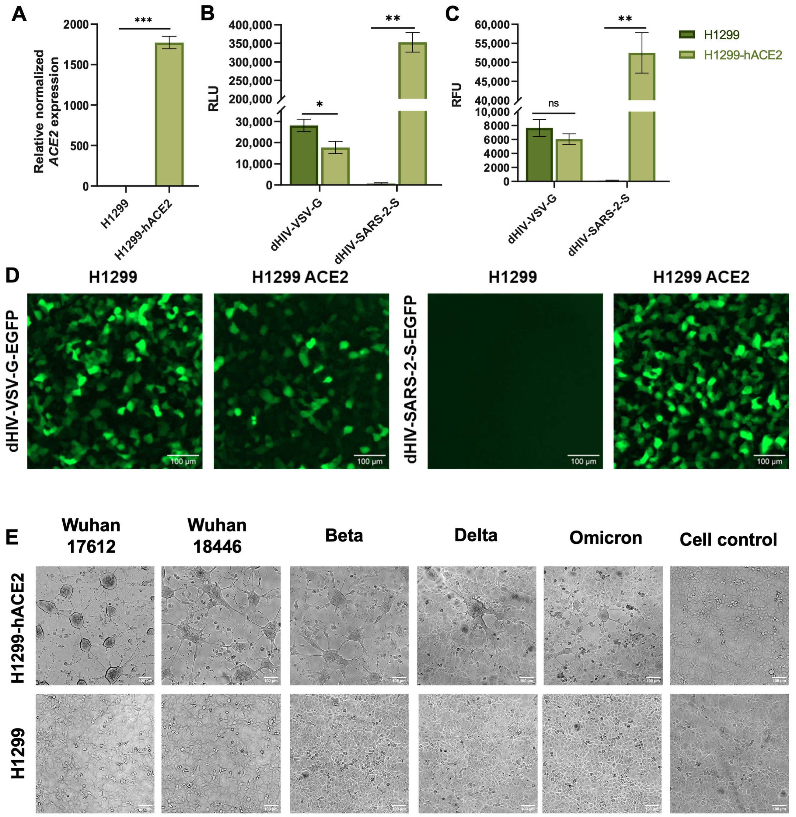 Development and Application of a Pseudovirus-Based Assay for Modelling ...