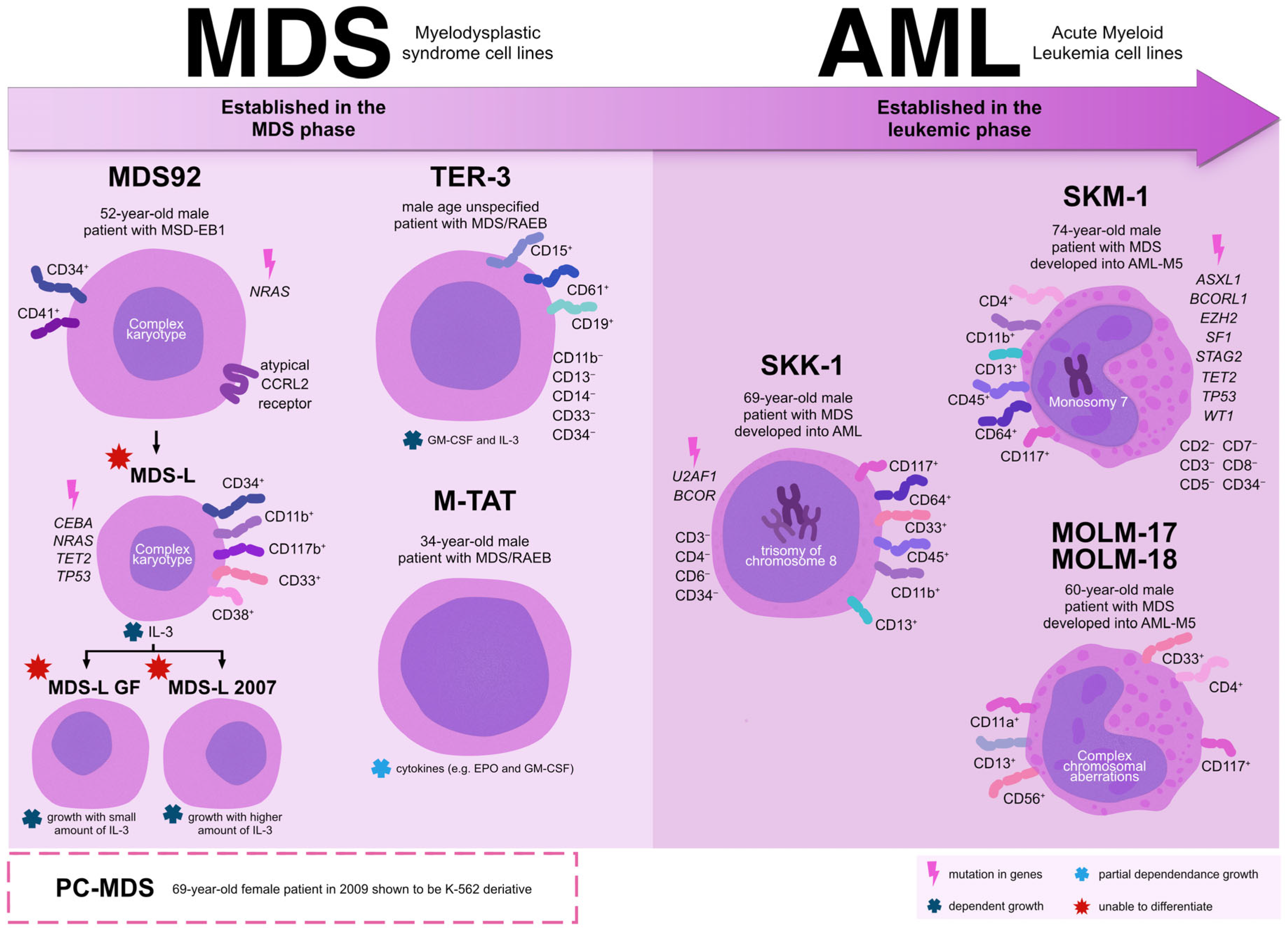 Cell Lines in Myelodysplastic Syndromes/Neoplasms (MDS) Research: A ...