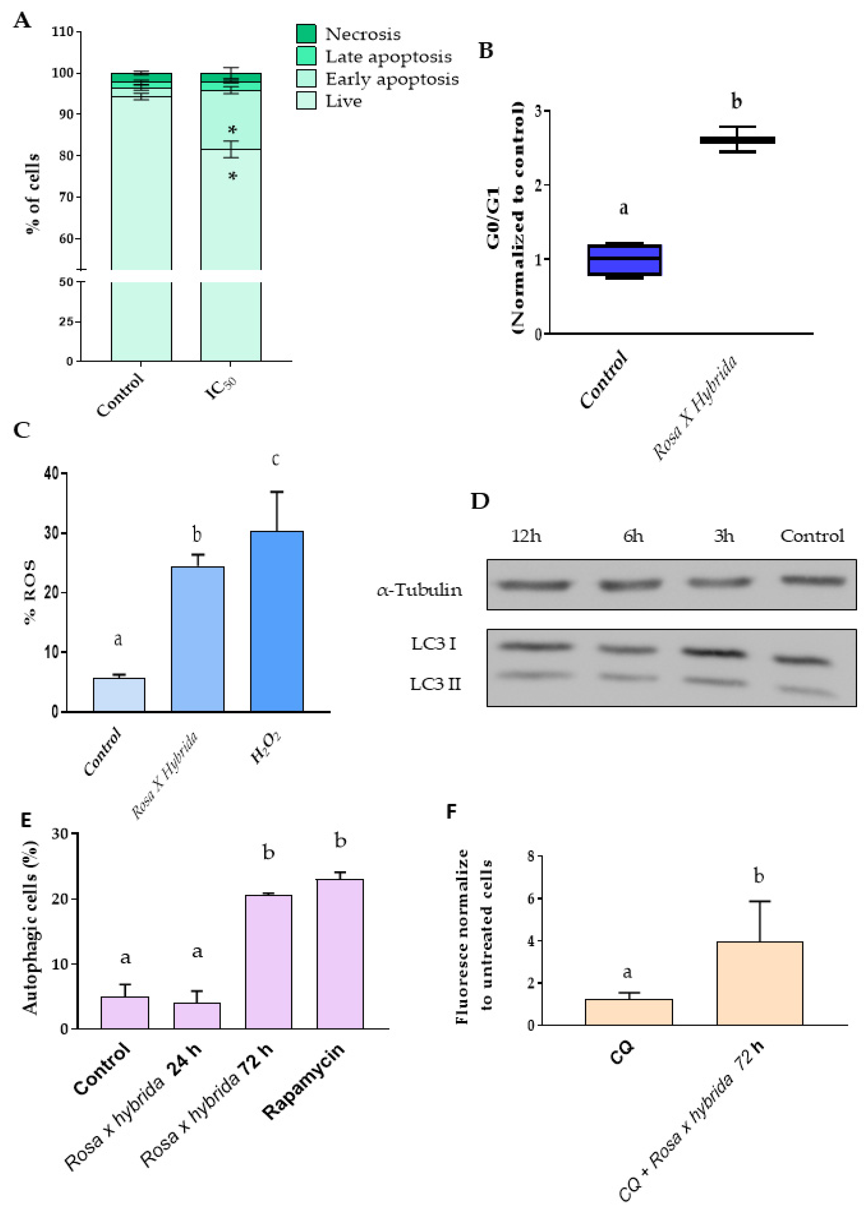 Rosa x hybrida: A New Tool for Functional Food Development with Triple ...