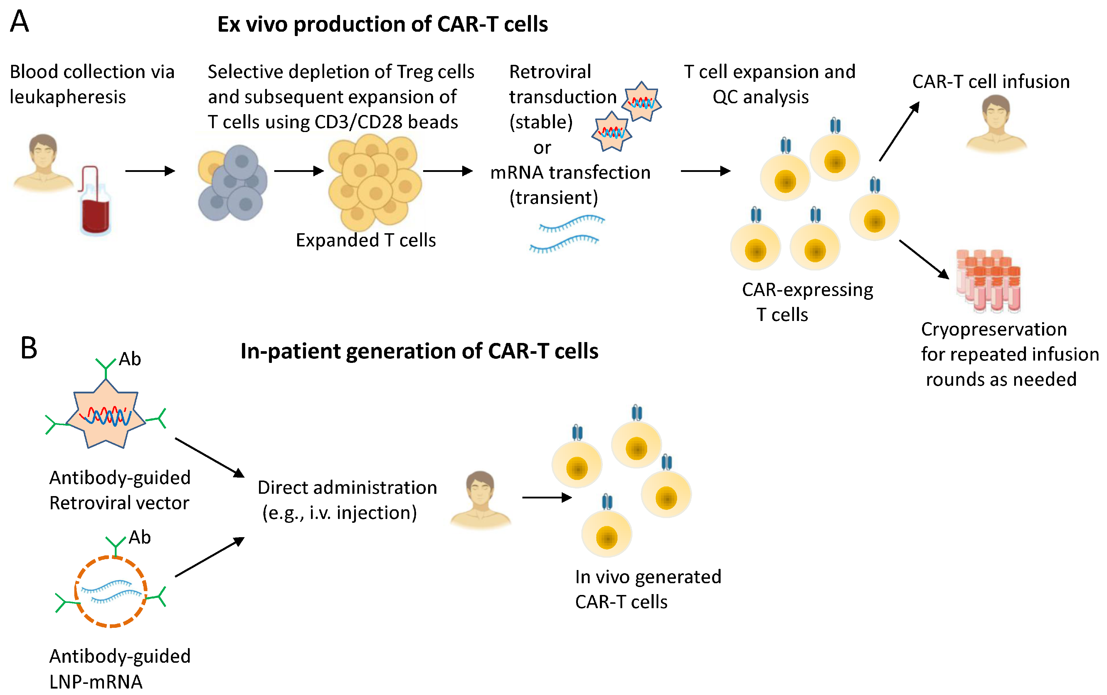 Engineering Immunity: Current Progress and Future Directions of CAR-T ...