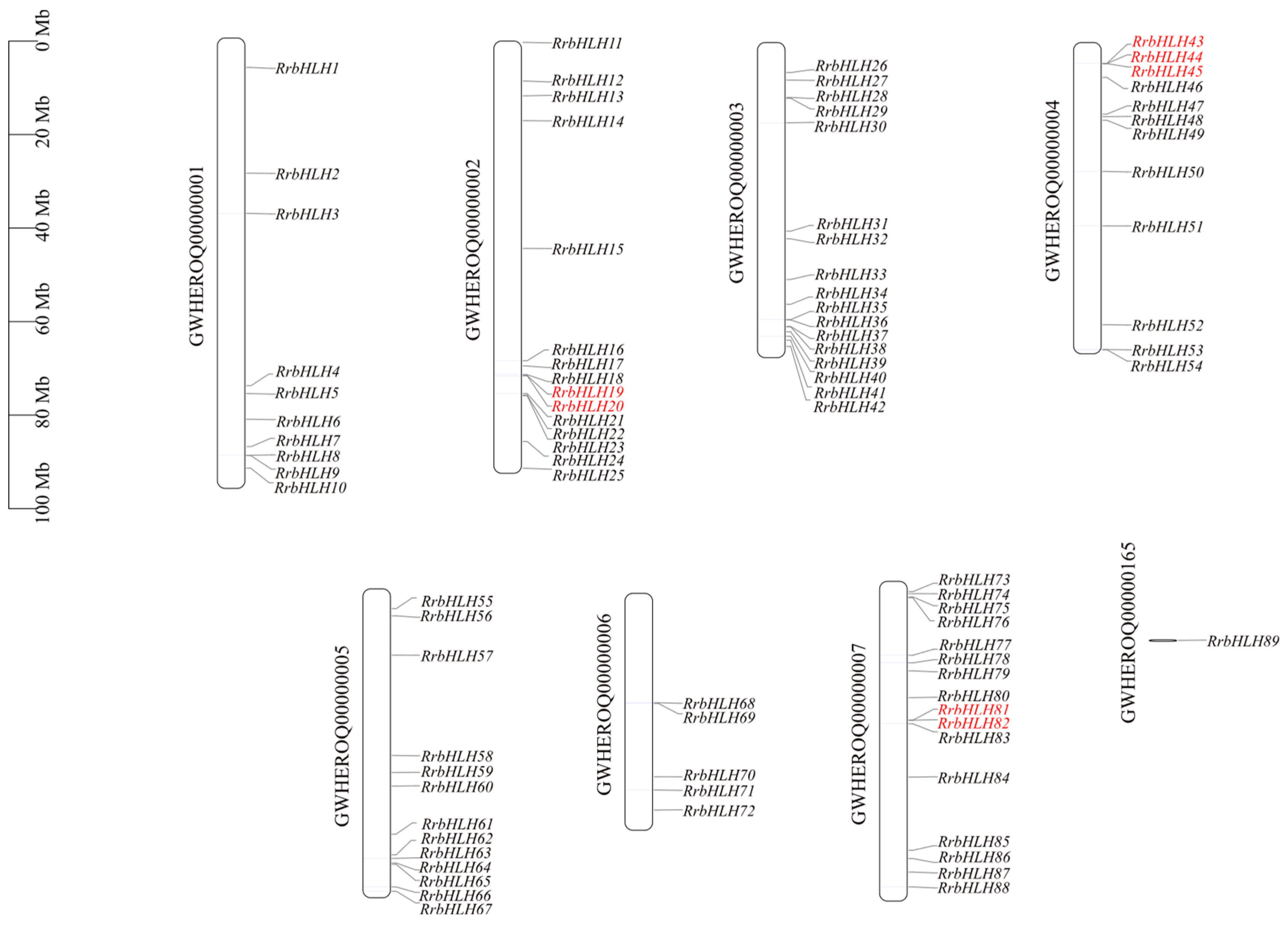Genome-Wide Identification and Evolutionary Analysis of the bHLH ...