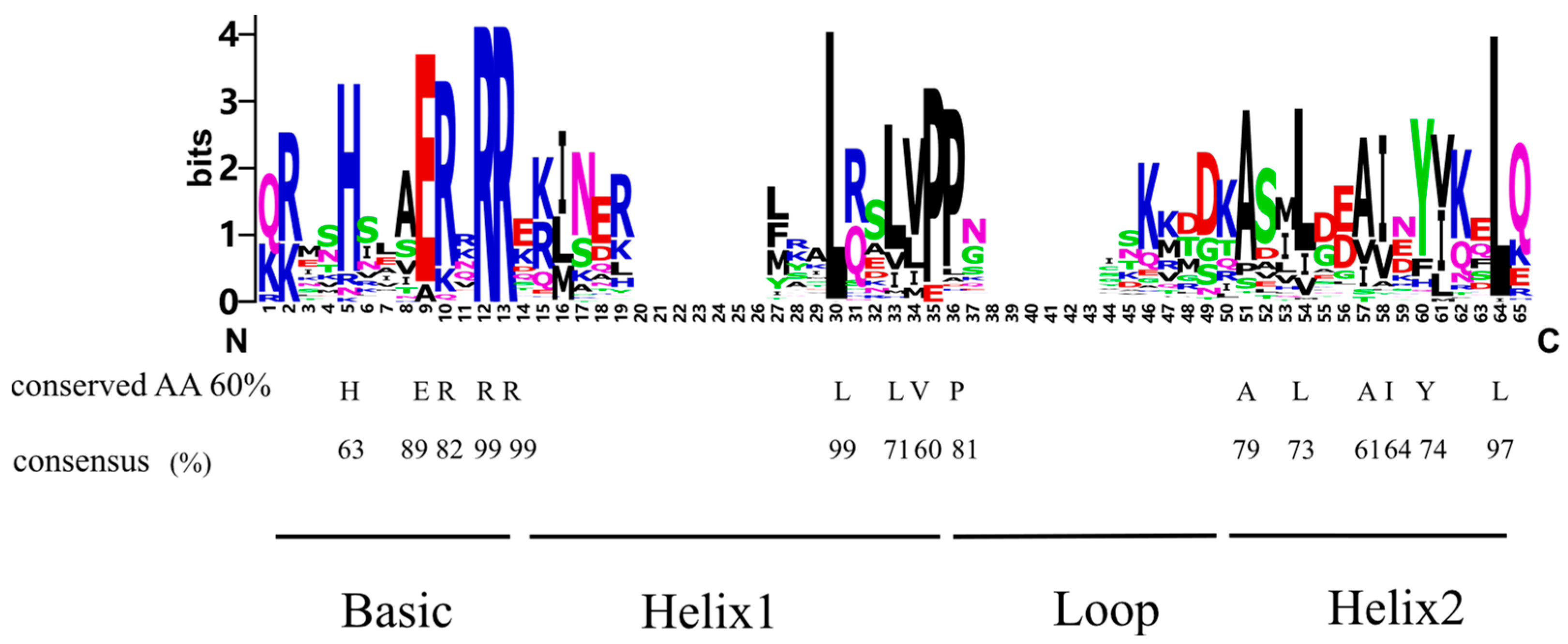 Genome-Wide Identification and Evolutionary Analysis of the bHLH ...
