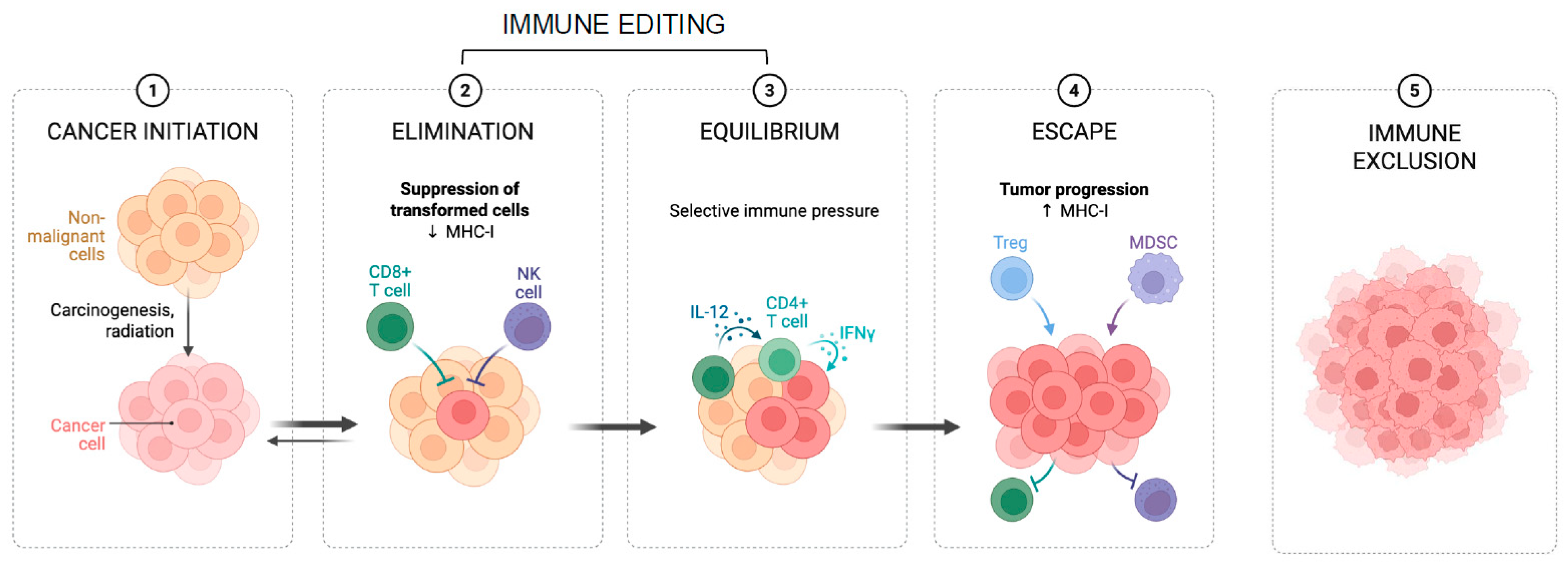 Advances in Colorectal Cancer Cell Biology and Clonal Evolution