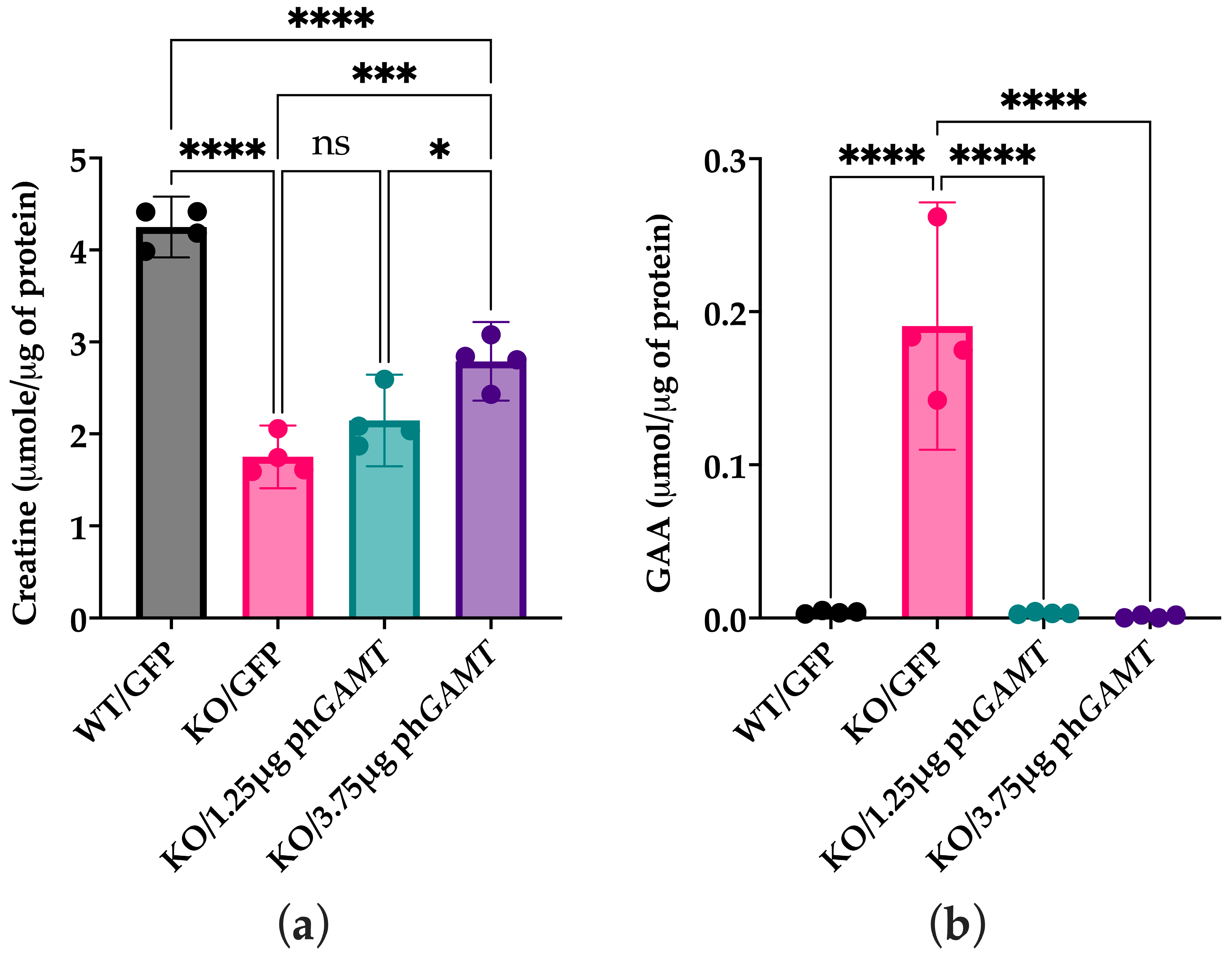 A CNS-Directed, AAV9 Gene Therapy Restores Expression and Biochemical ...