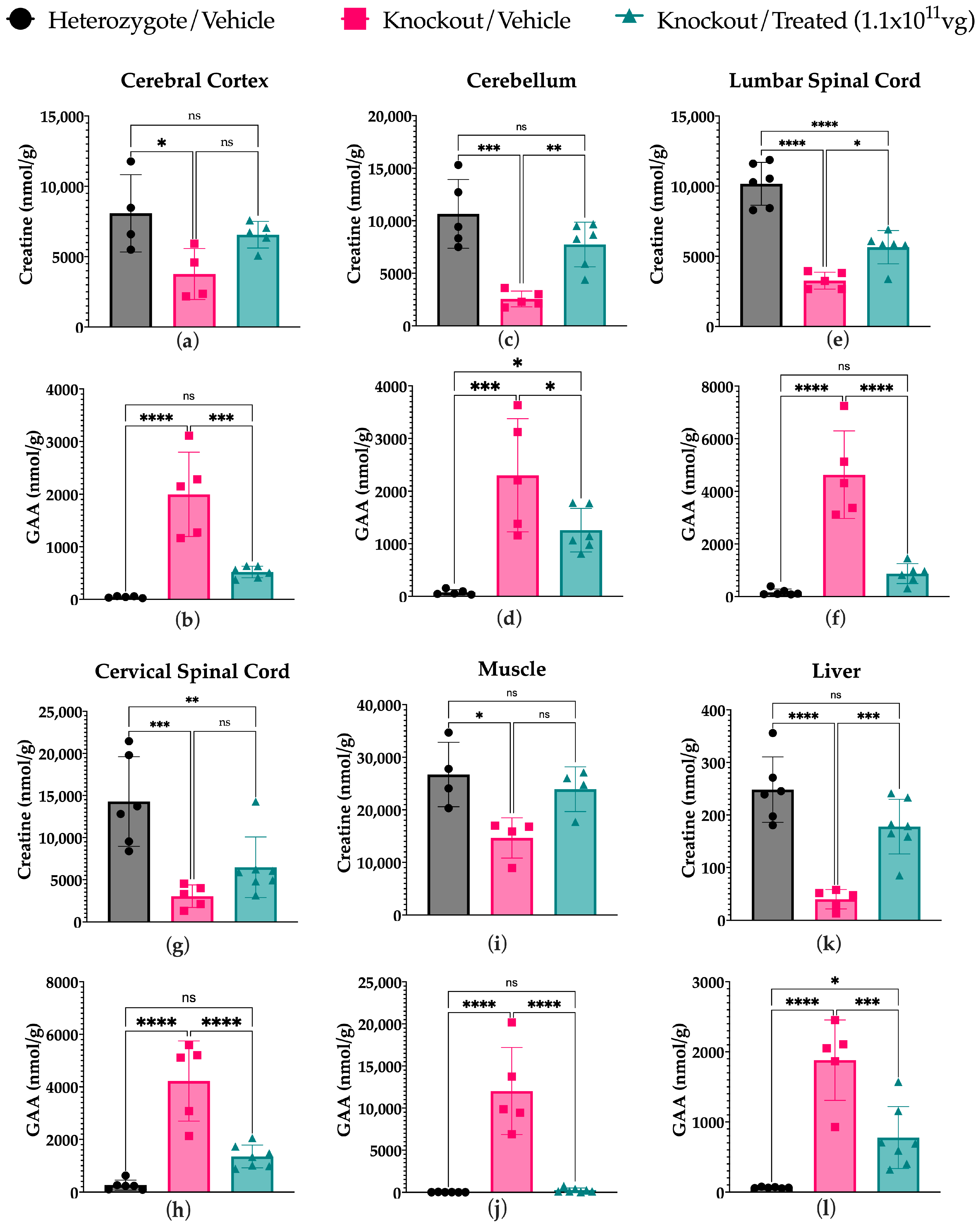 A CNS-Directed, AAV9 Gene Therapy Restores Expression and Biochemical ...