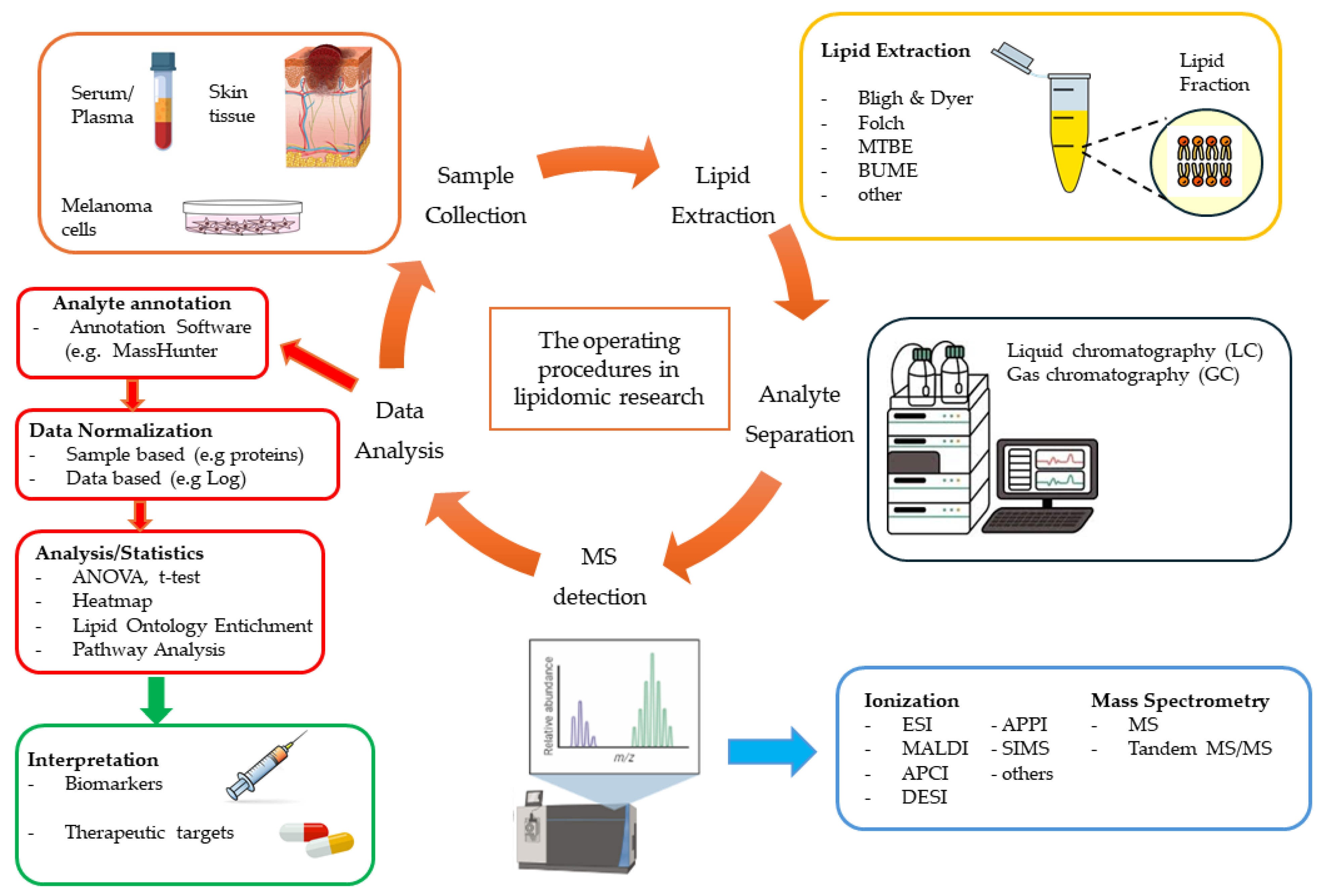 Lipidomics in Melanoma: Insights into Disease Progression and ...